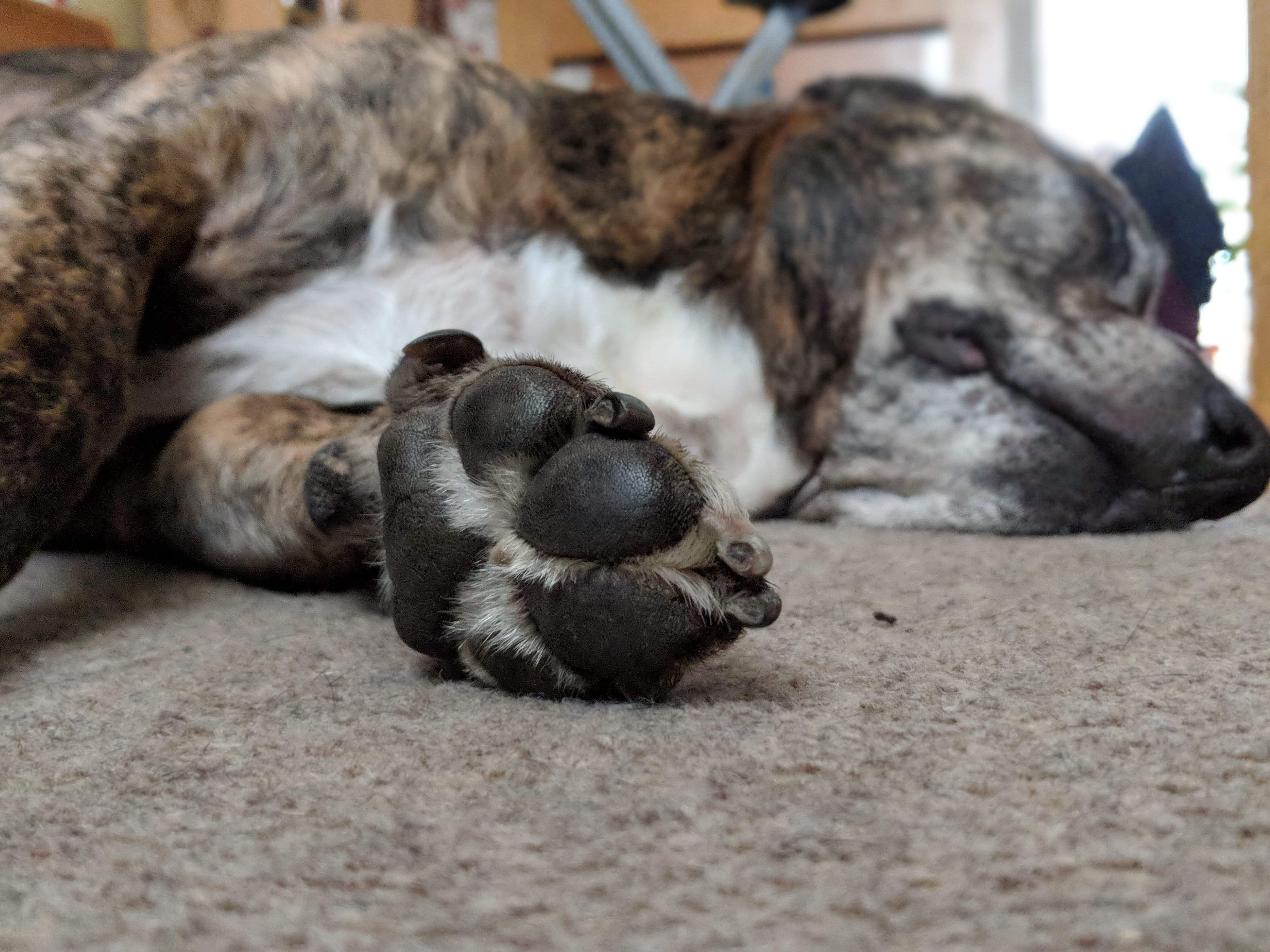 Sleepy boy | Scrolller