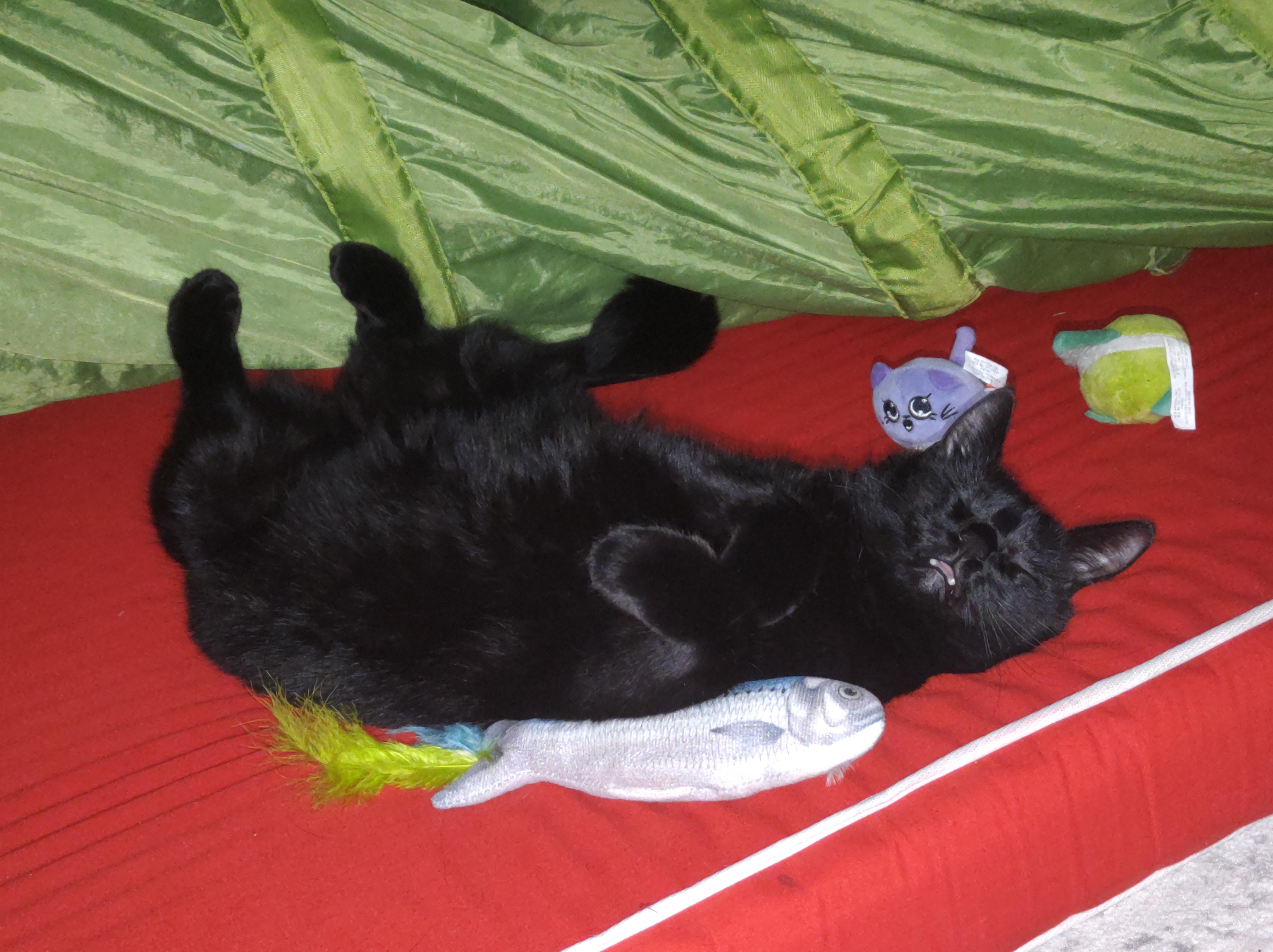 Sleepy derp face and still like this an hour later! | Scrolller