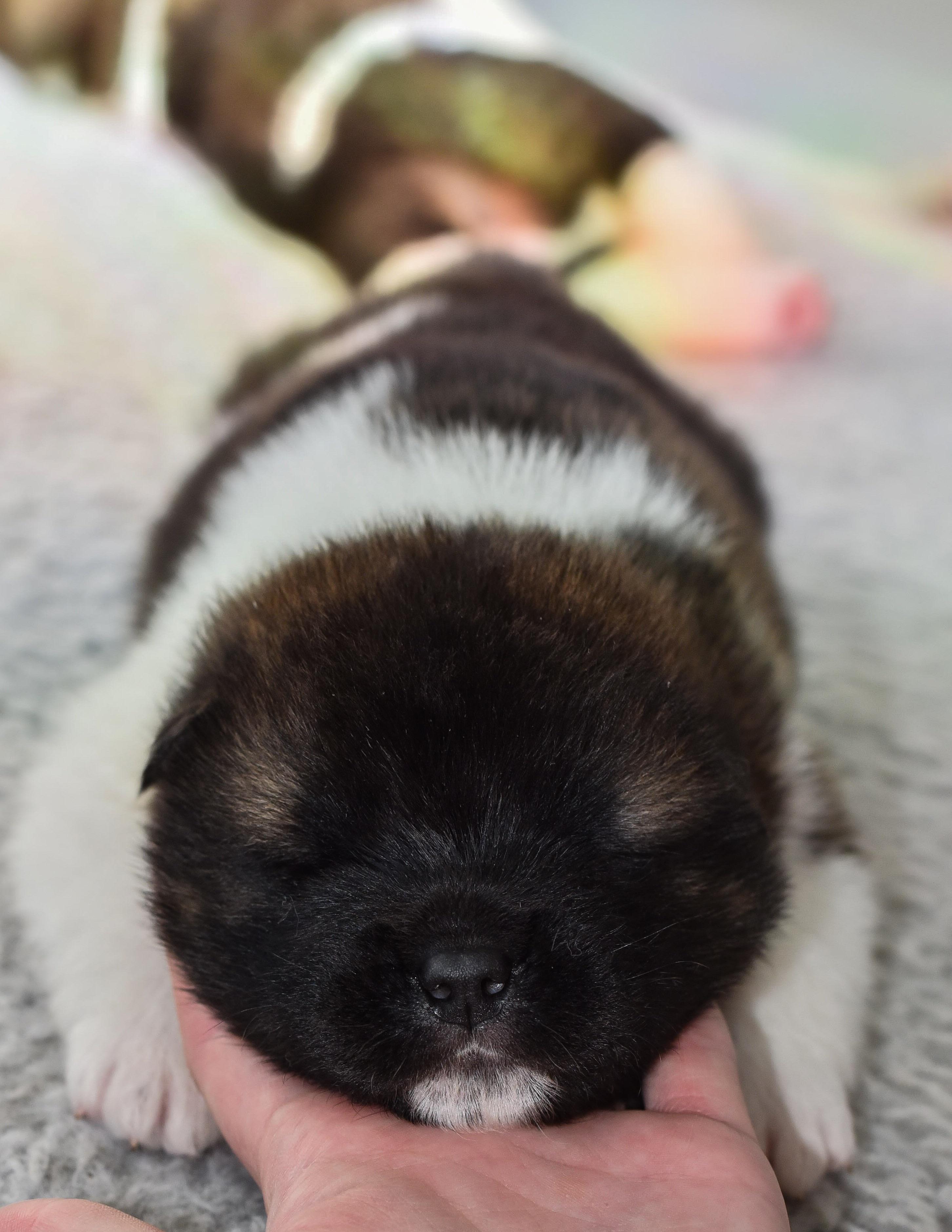 Sleepy Friday morning | Scrolller