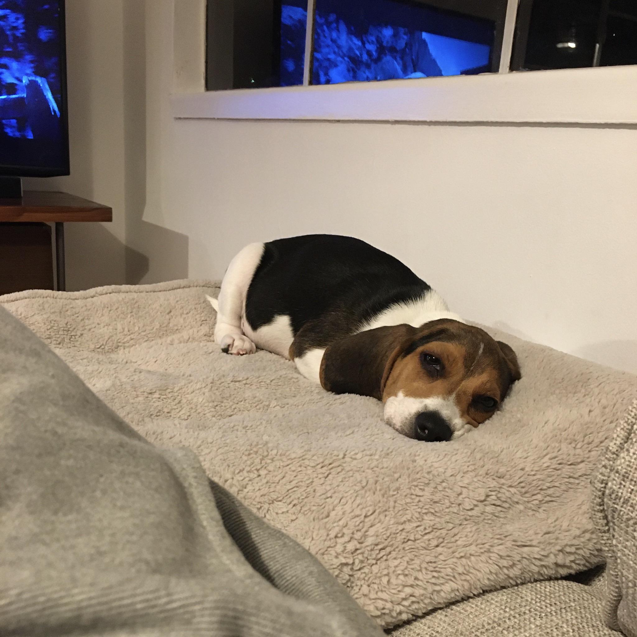 Sleepy slug time | Scrolller