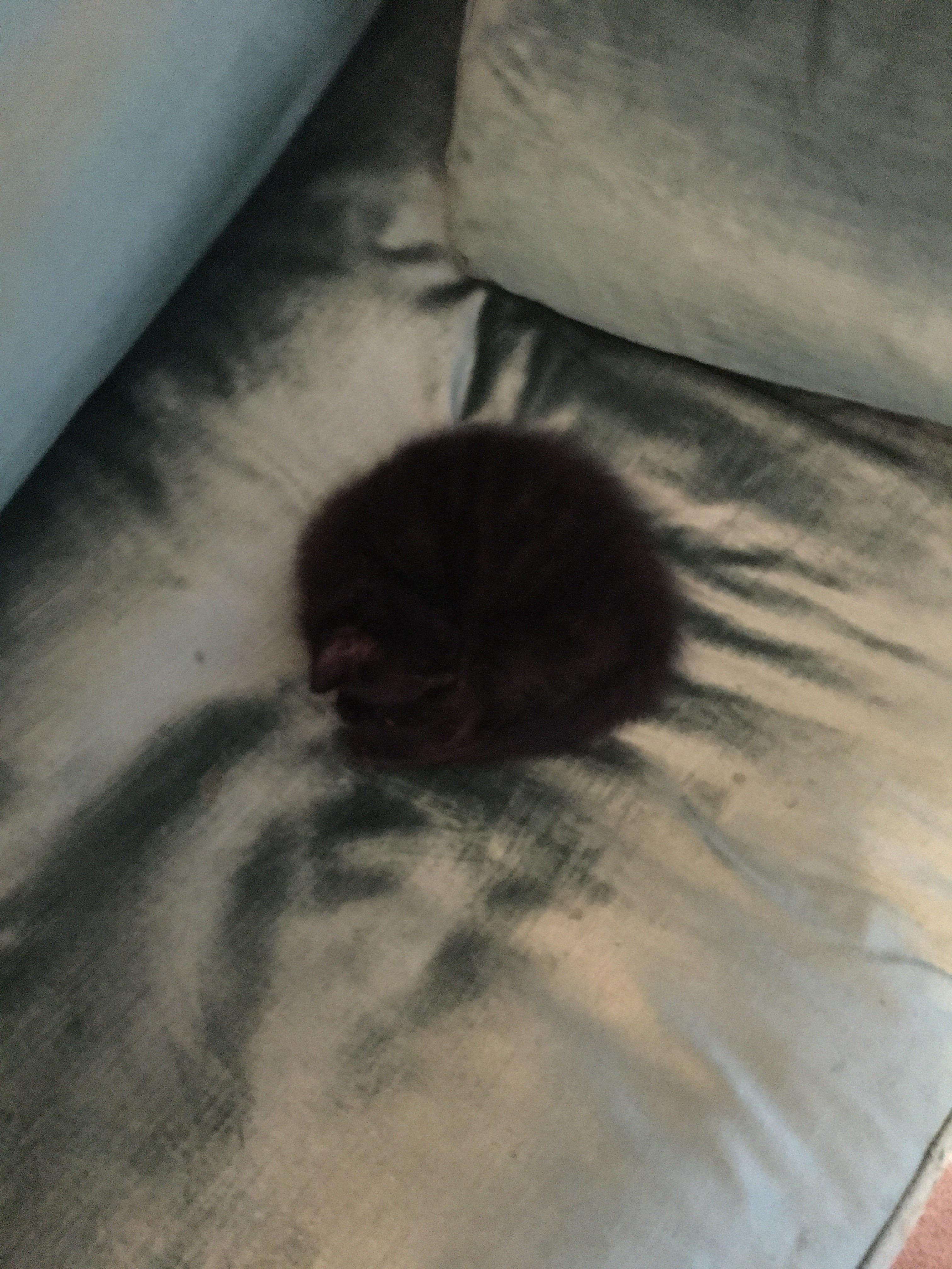 Sleepy void | Scrolller