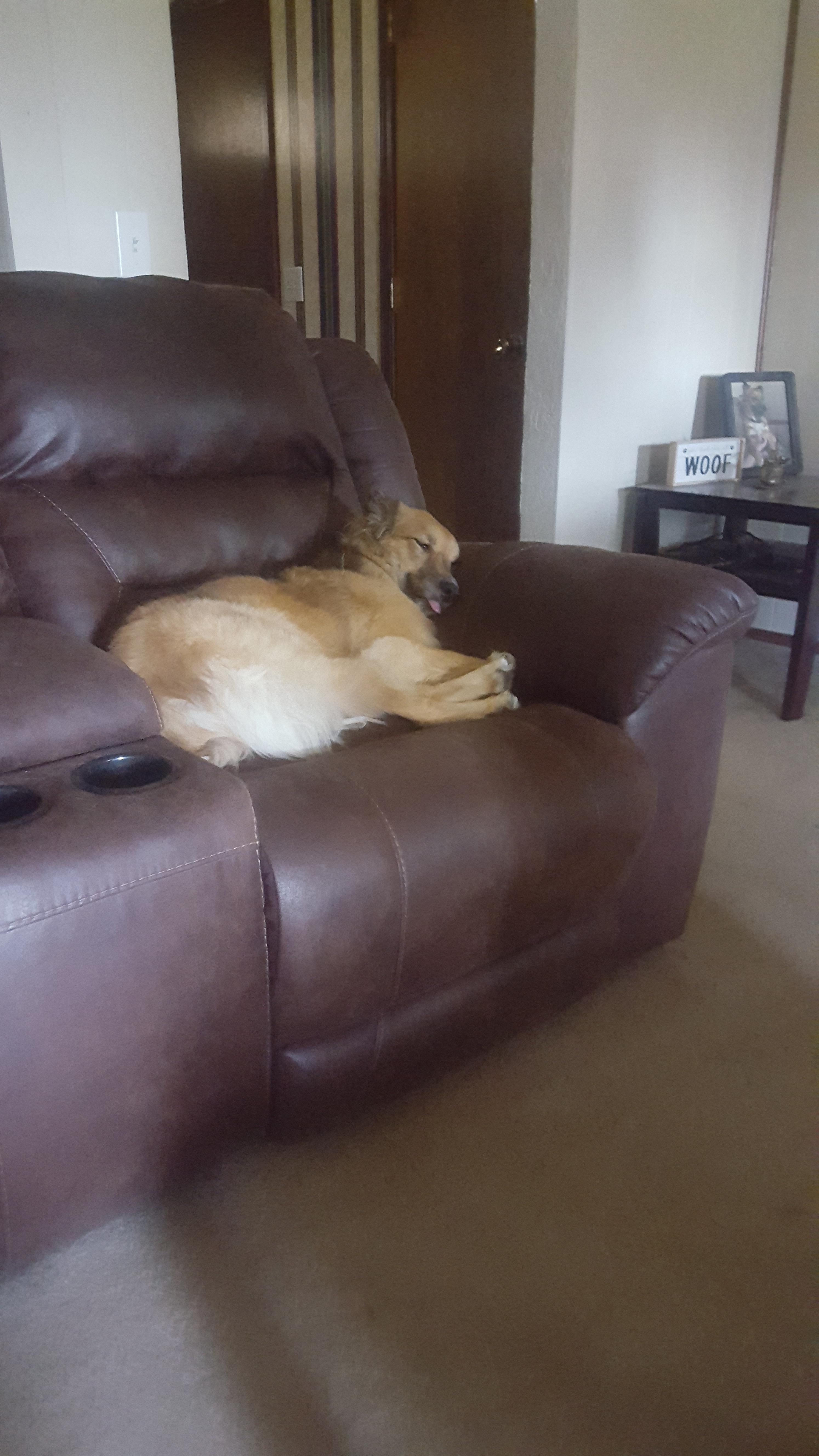 Sleepy woochy doing a hotdog mlem | Scrolller