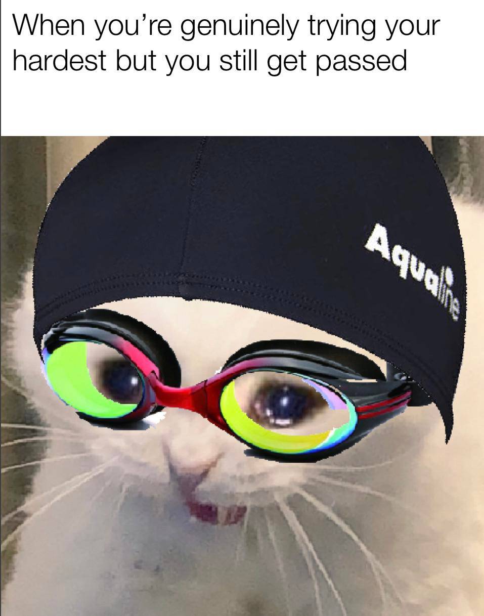 Slow boi | Scrolller