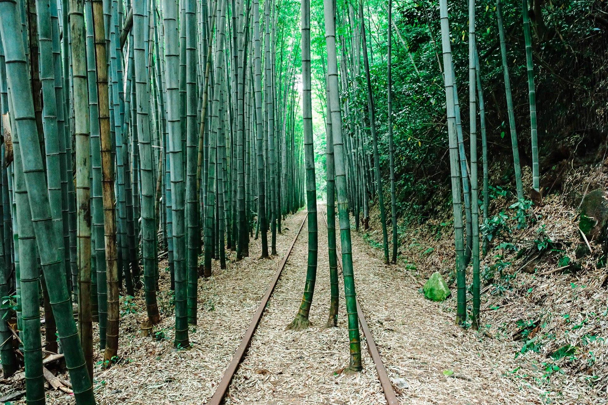 Slowly getting there... | Scrolller