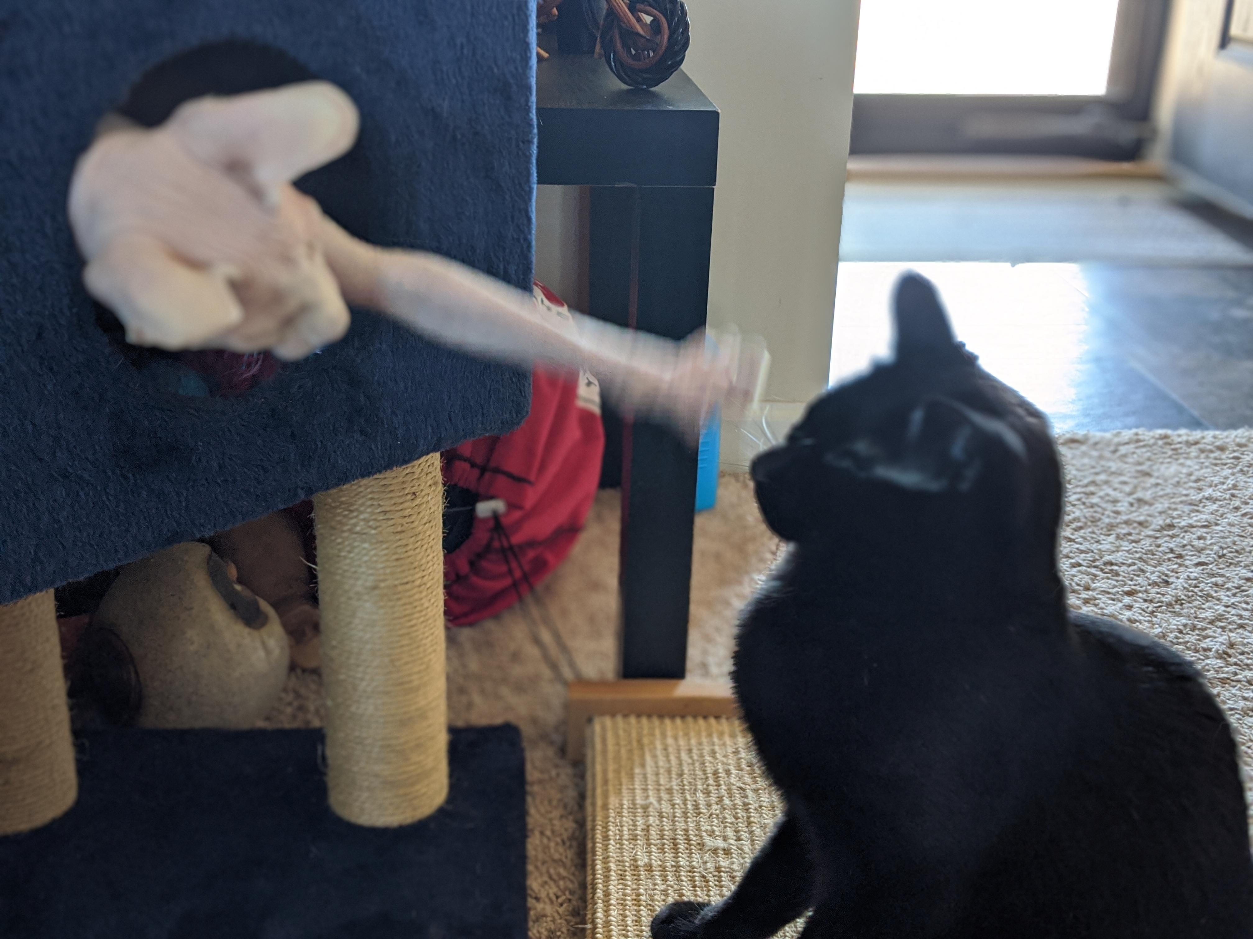 Smack smack smack! | Scrolller