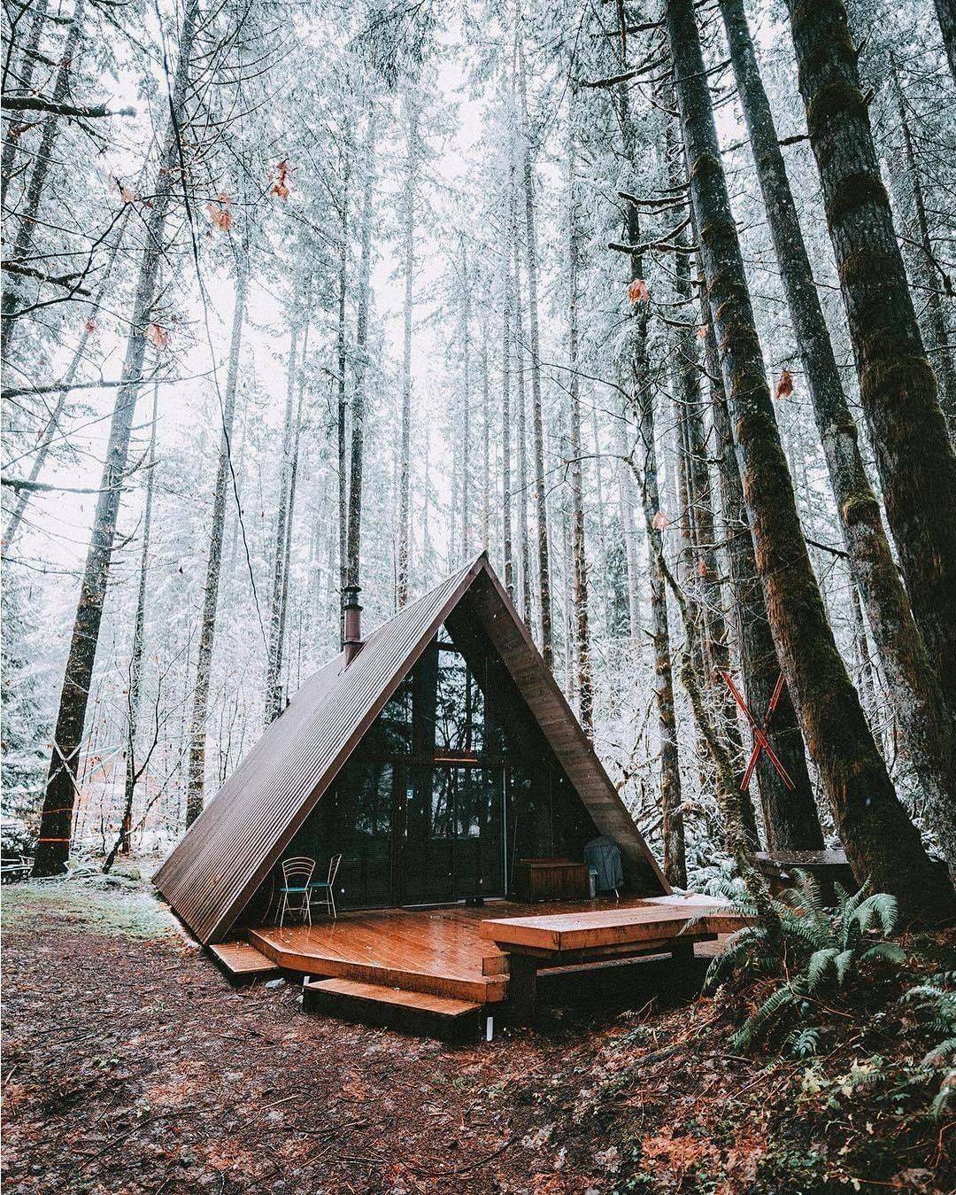 Small A-frame among the tall firs | Scrolller