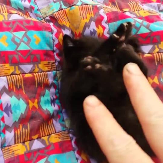 Small beans | Scrolller