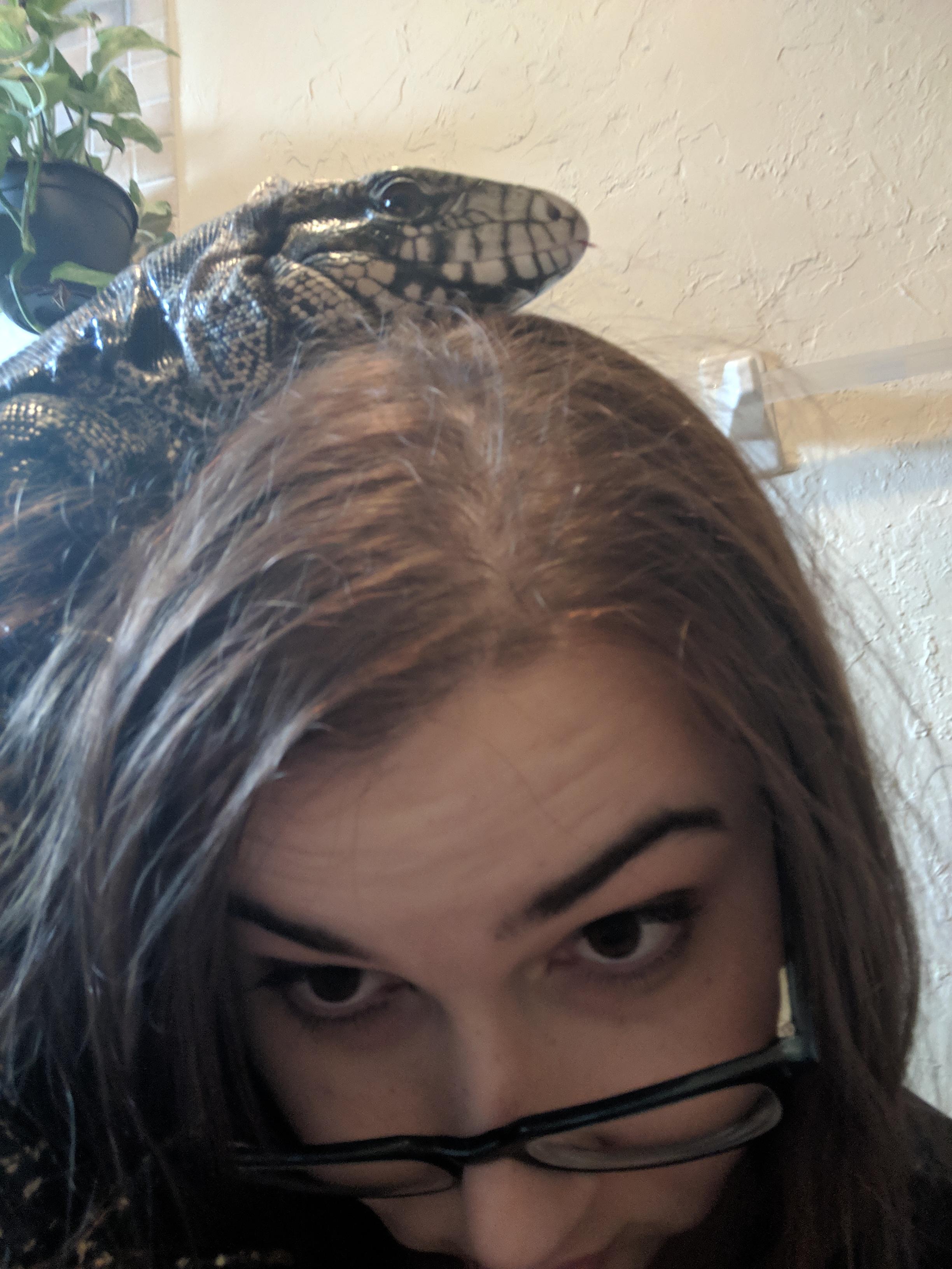 Small blup | Scrolller