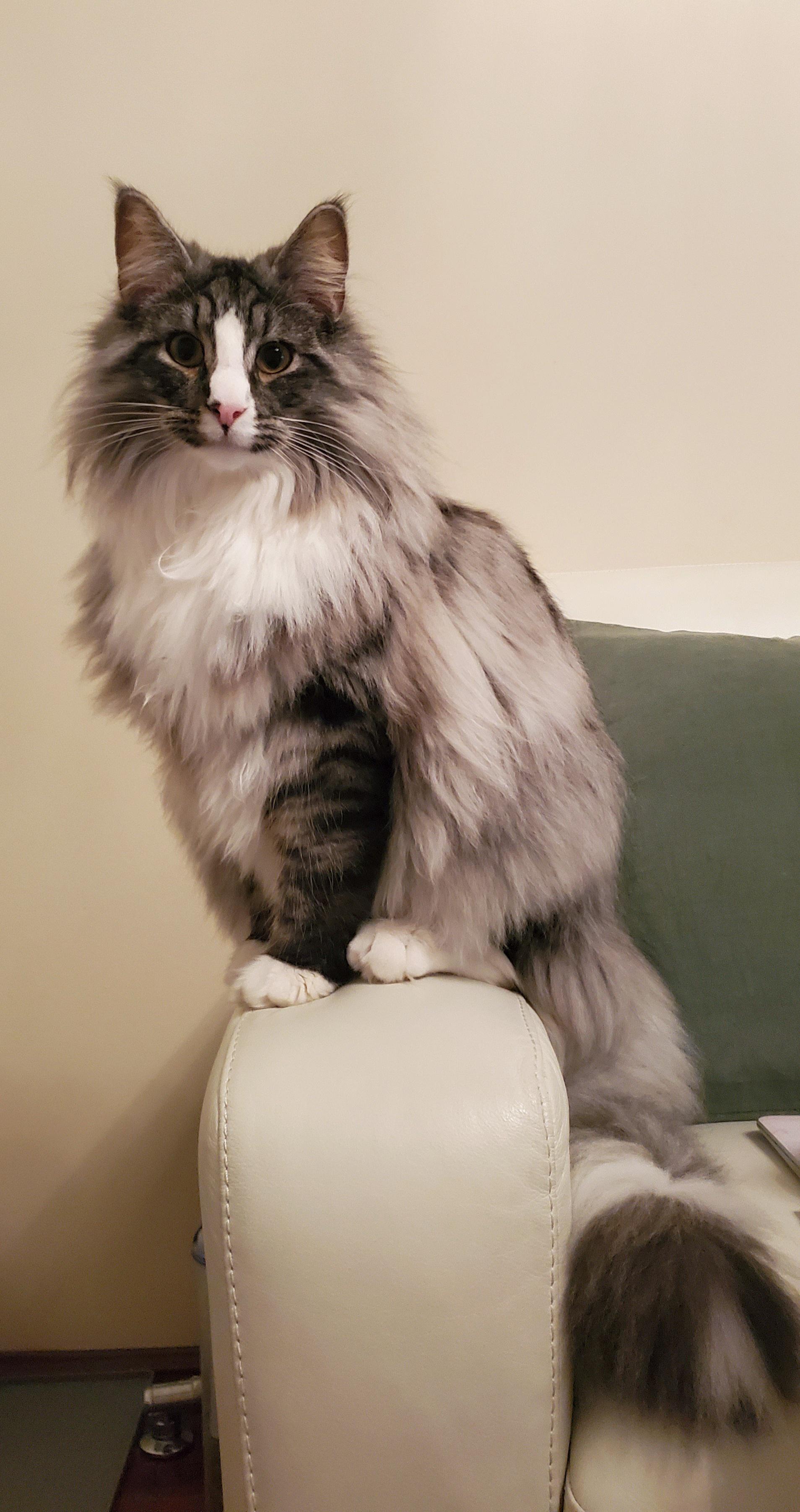 Smart pants look | Scrolller