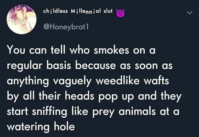Smelly Smelly Weed Scrolller