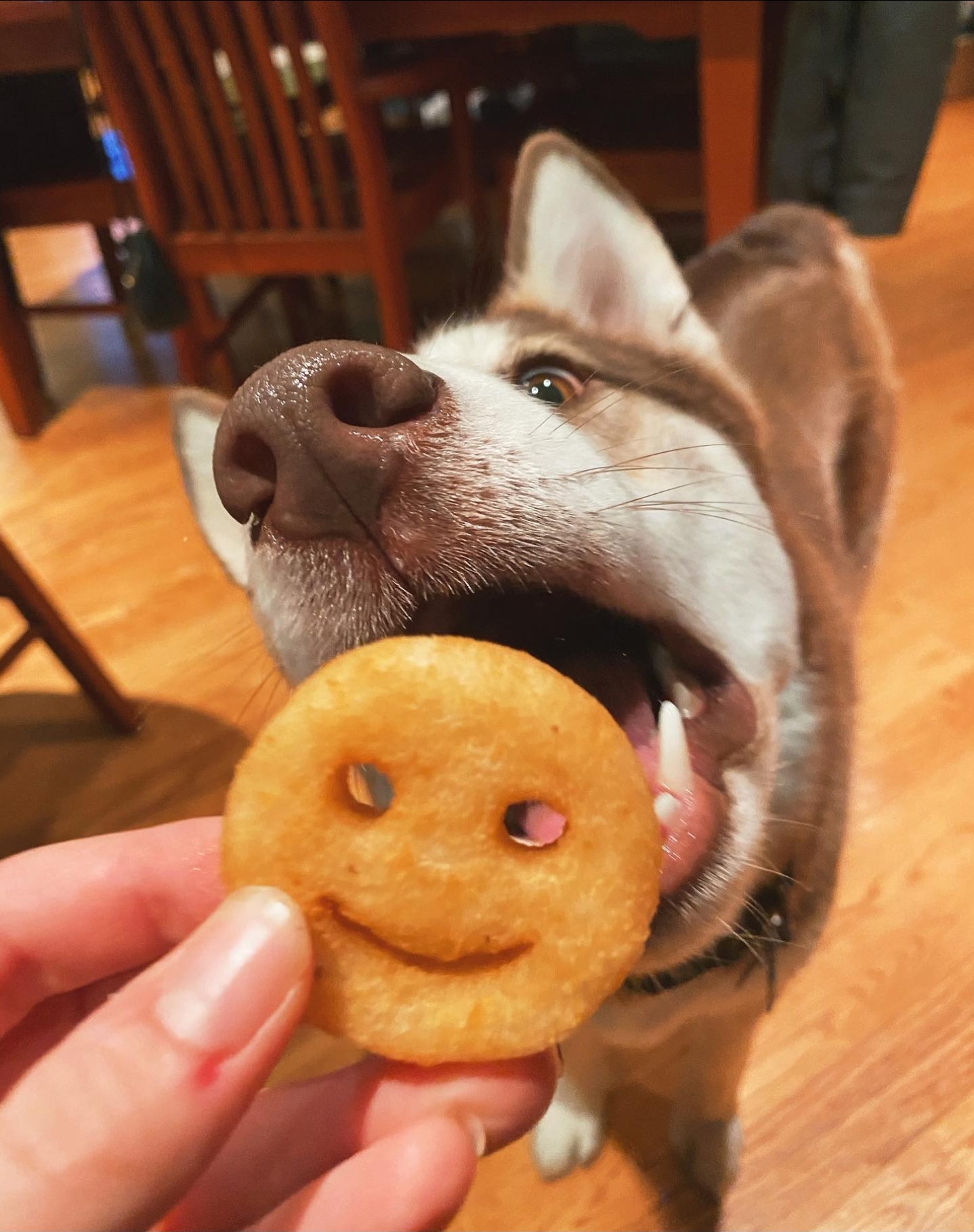 Smiley Fries For The Smiley Boy | Scrolller