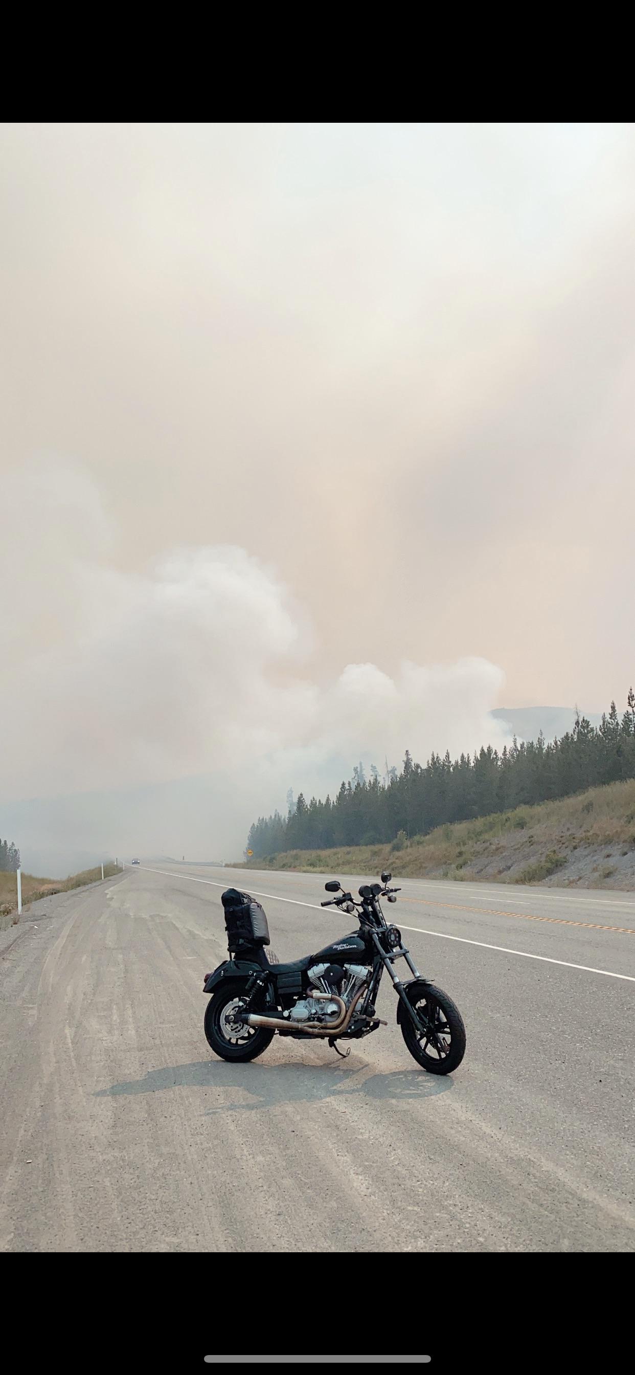 Smokey and the bandit | Scrolller