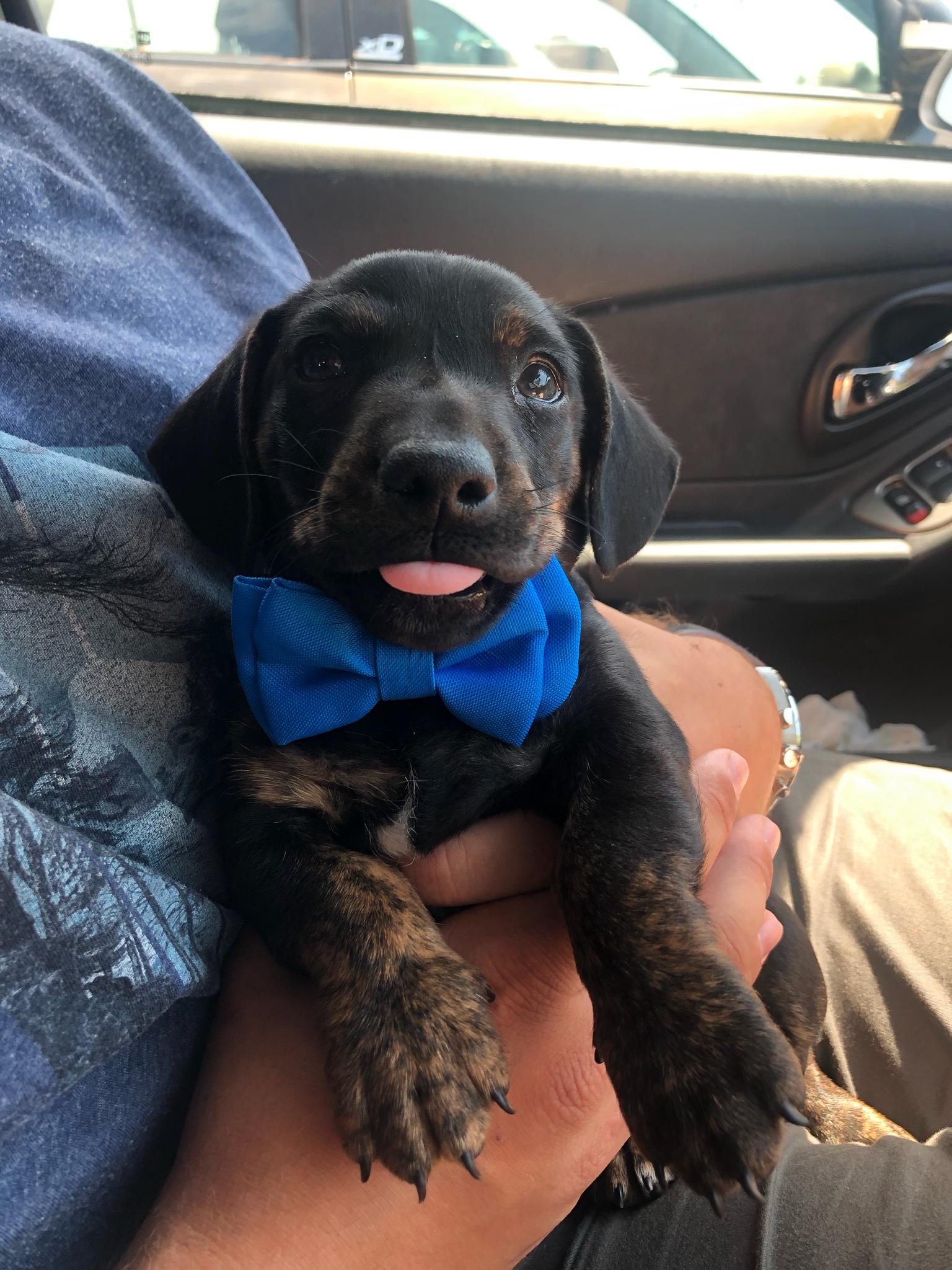 Smol blop | Scrolller