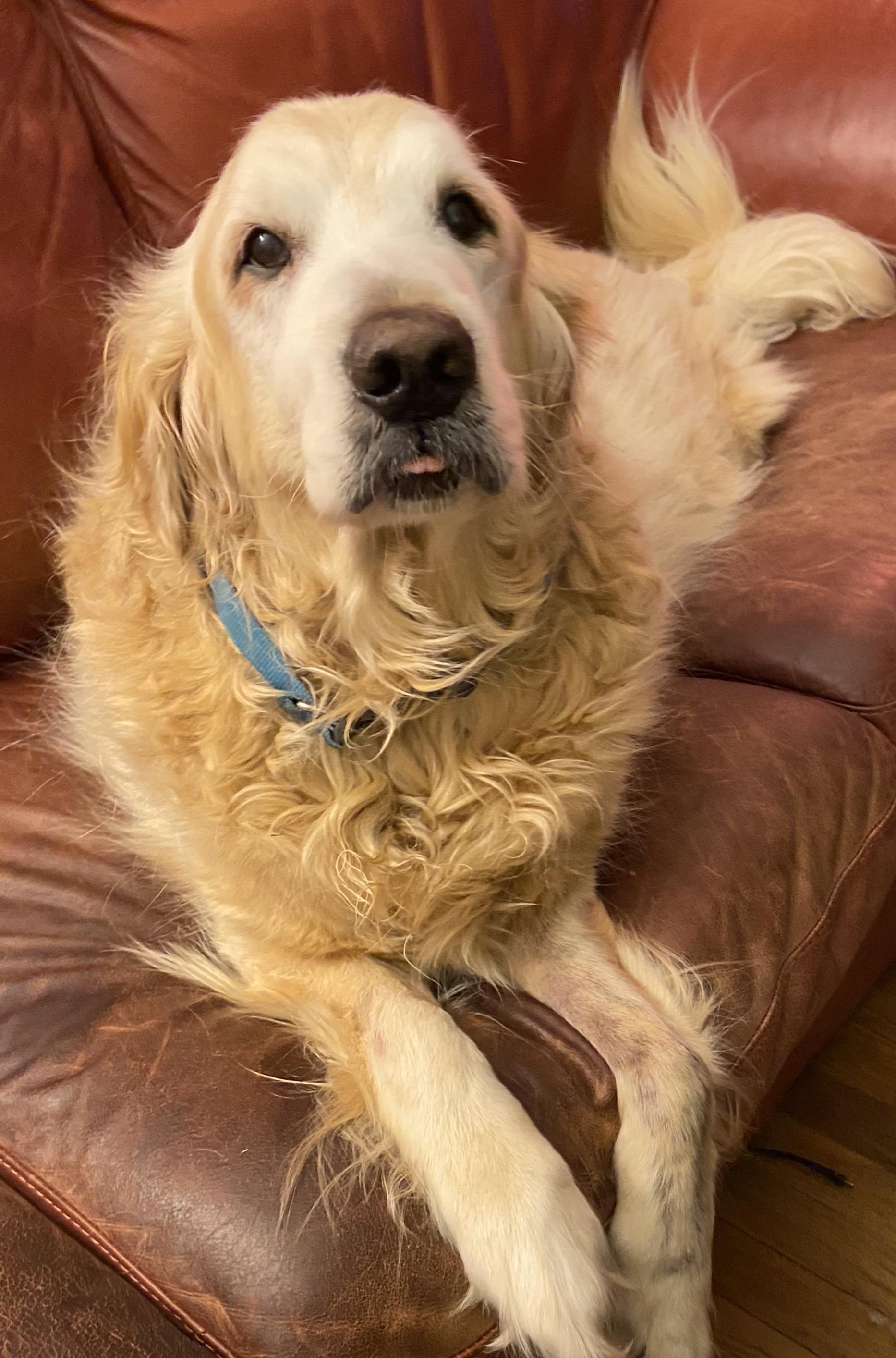 Smol blop | Scrolller