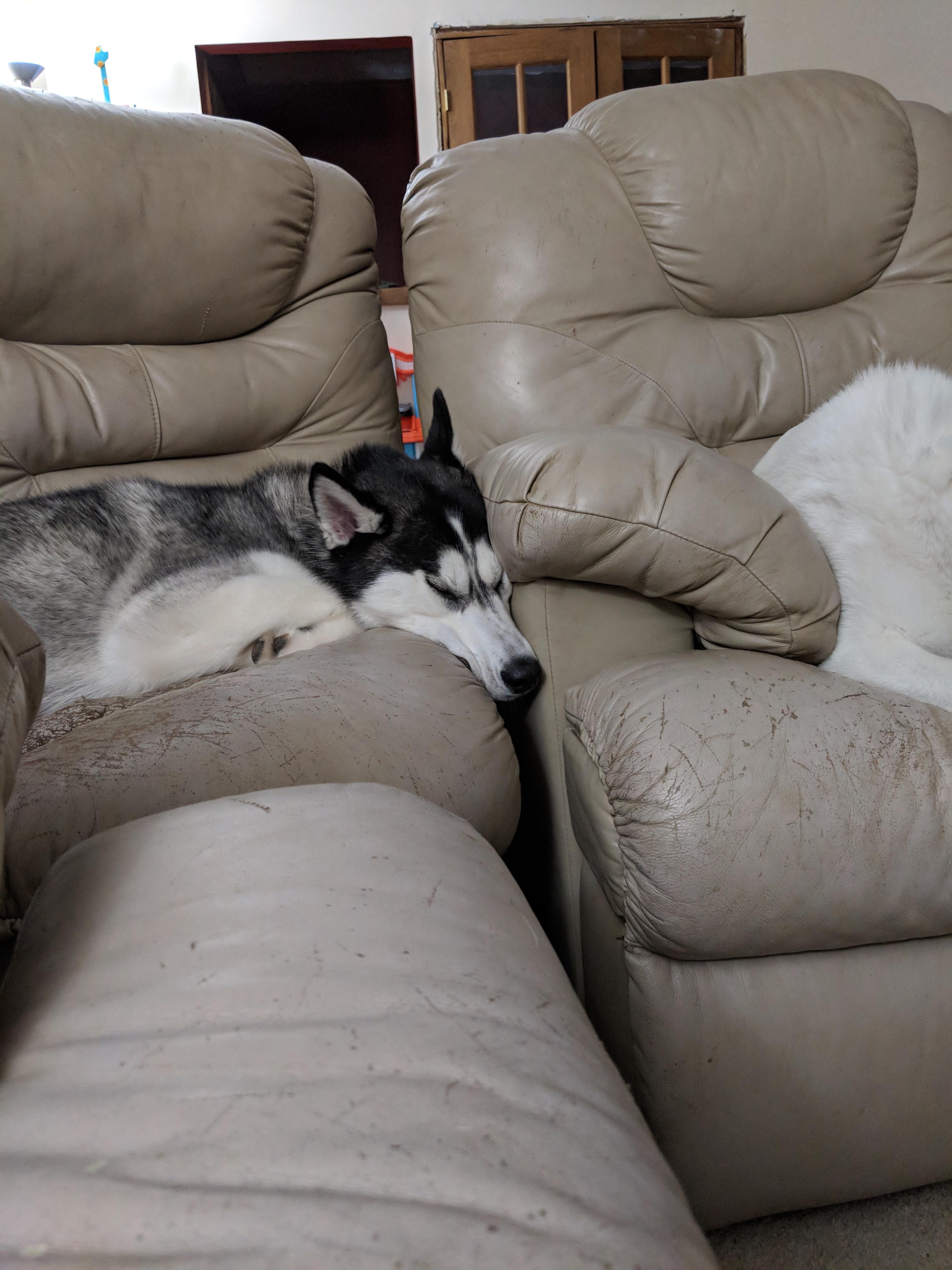 Smooshy floof | Scrolller