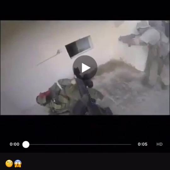 Those reflexes are insane. | Scrolller