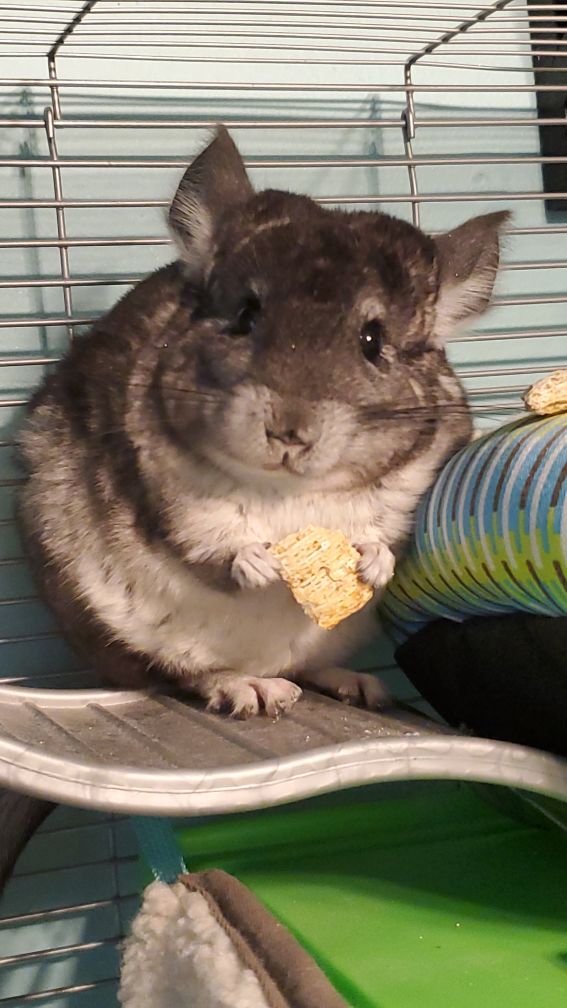 Snacktime. | Scrolller