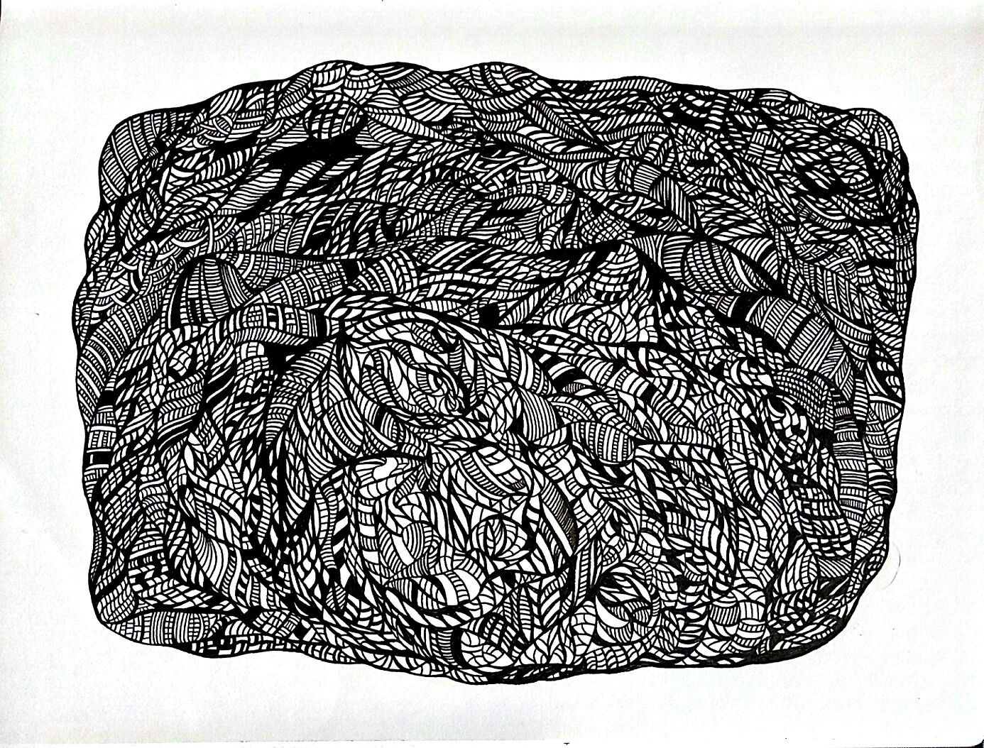 Snake no. 1 | Scrolller