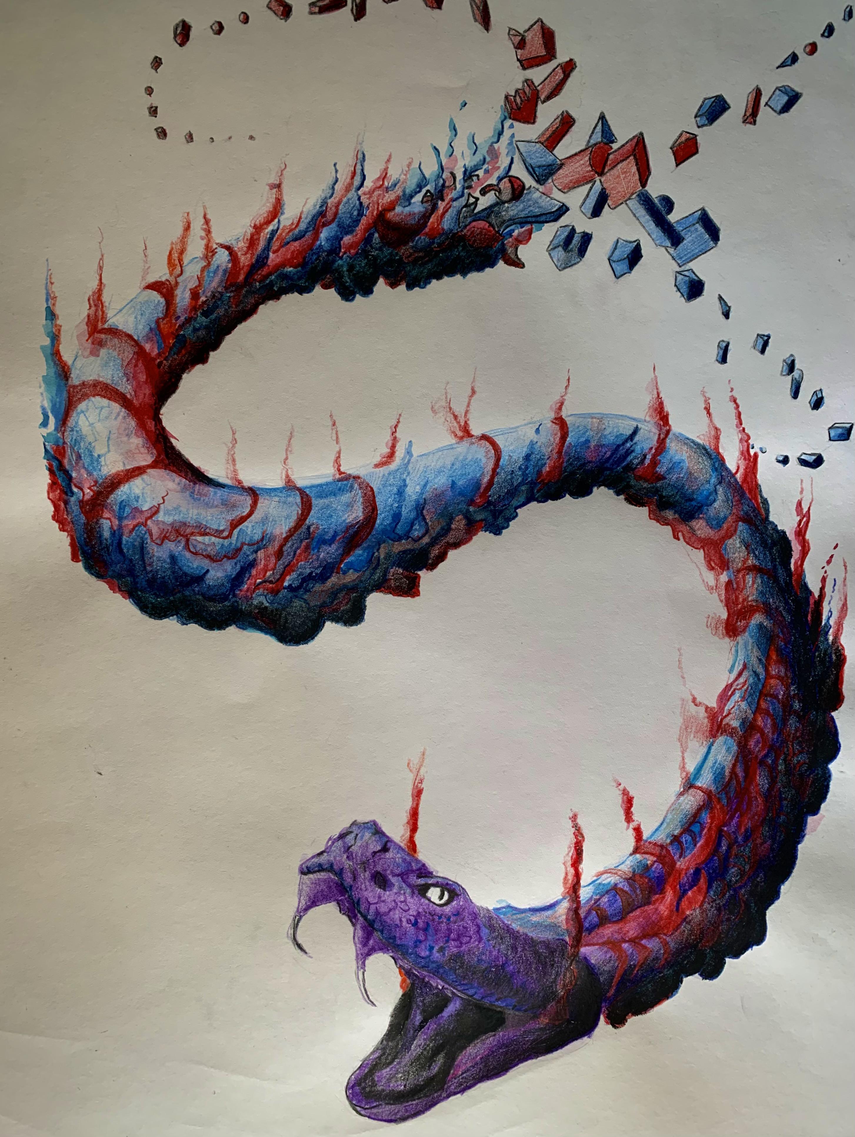 Snake thing I did for school! | Scrolller