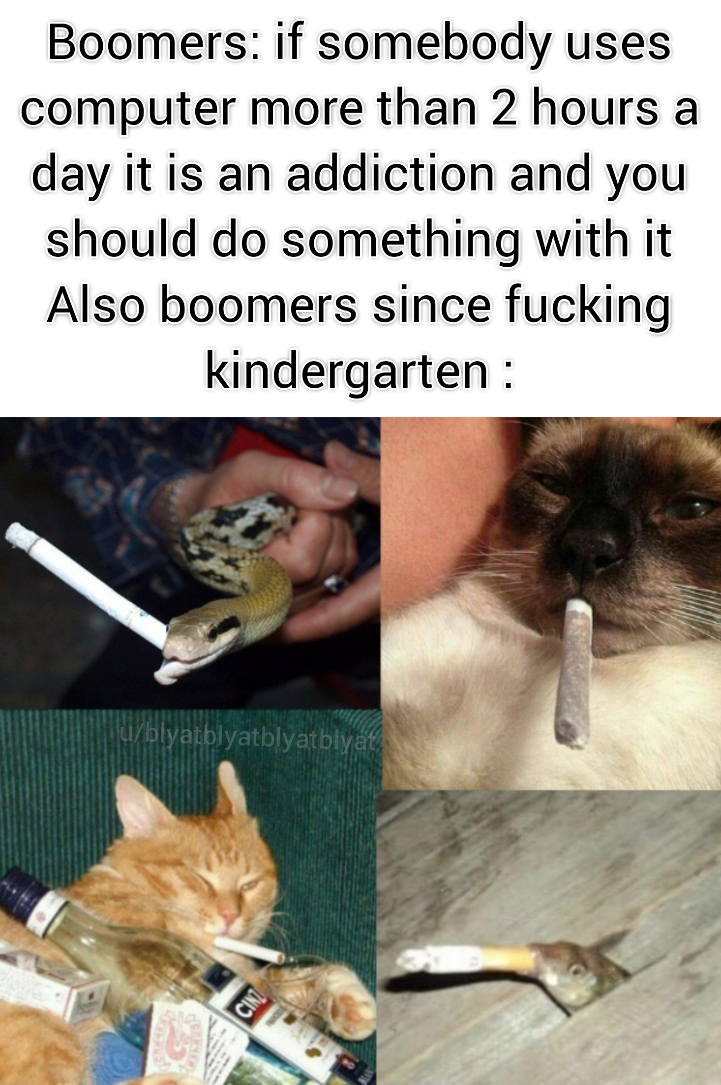 snek smok | Scrolller