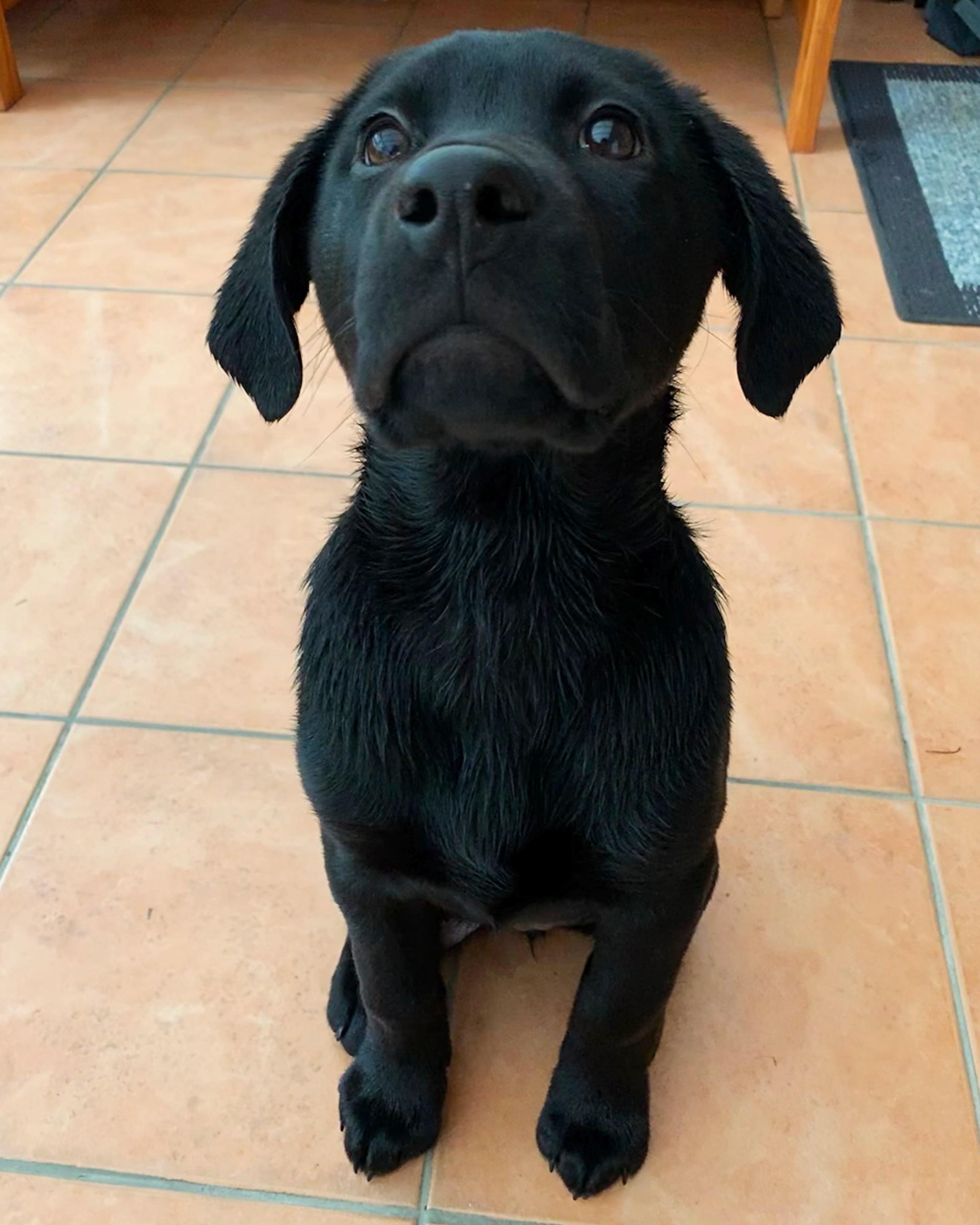 Snoot snoot 🥰 | Scrolller