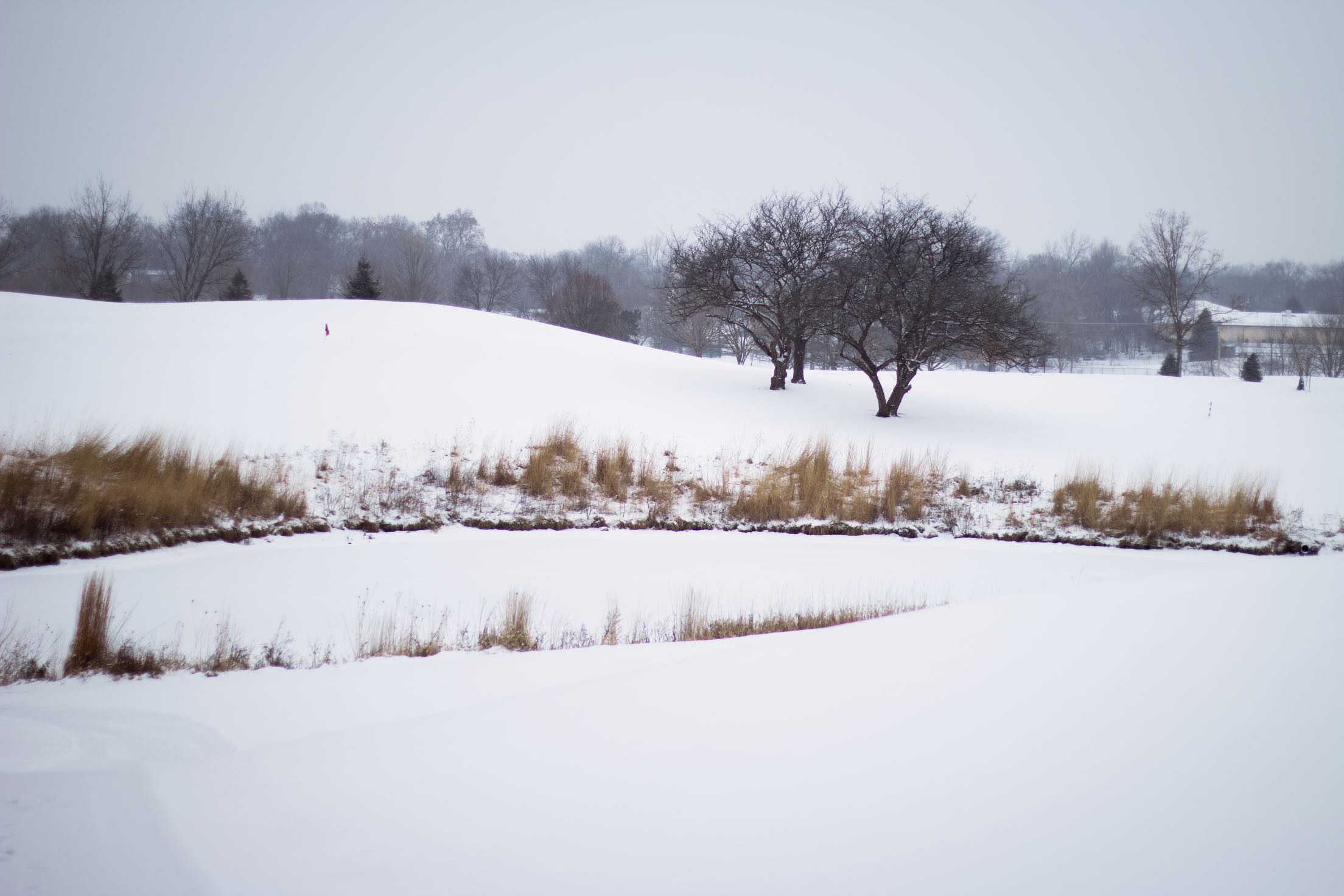 Snow Forever | Scrolller