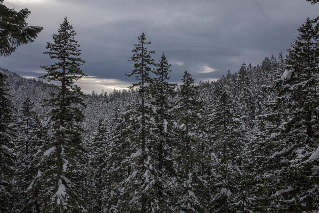 Snow landscape | Scrolller