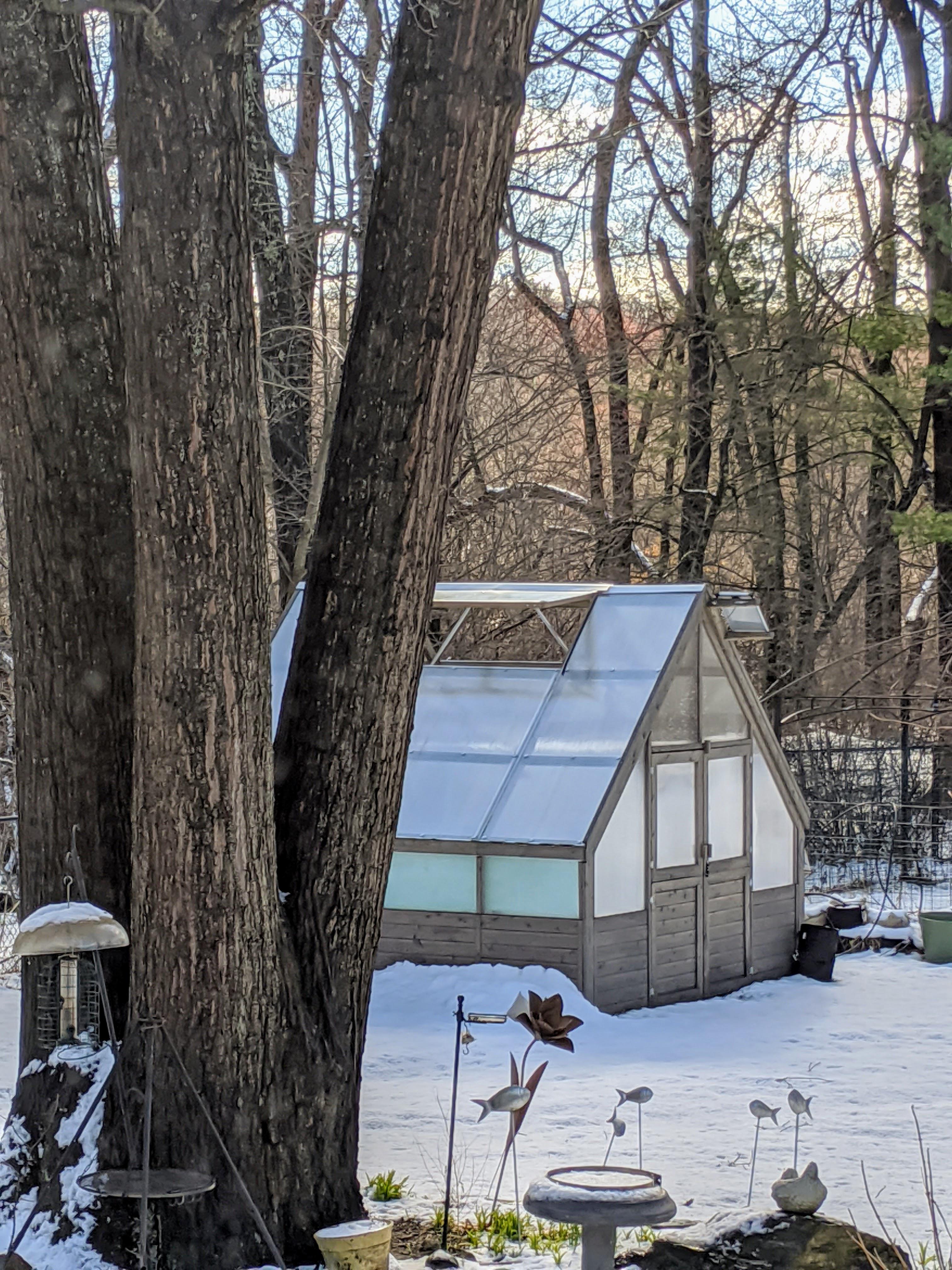 Snow on the ground, yet still venting heat out of greenhouse. I love spring! | Scrolller