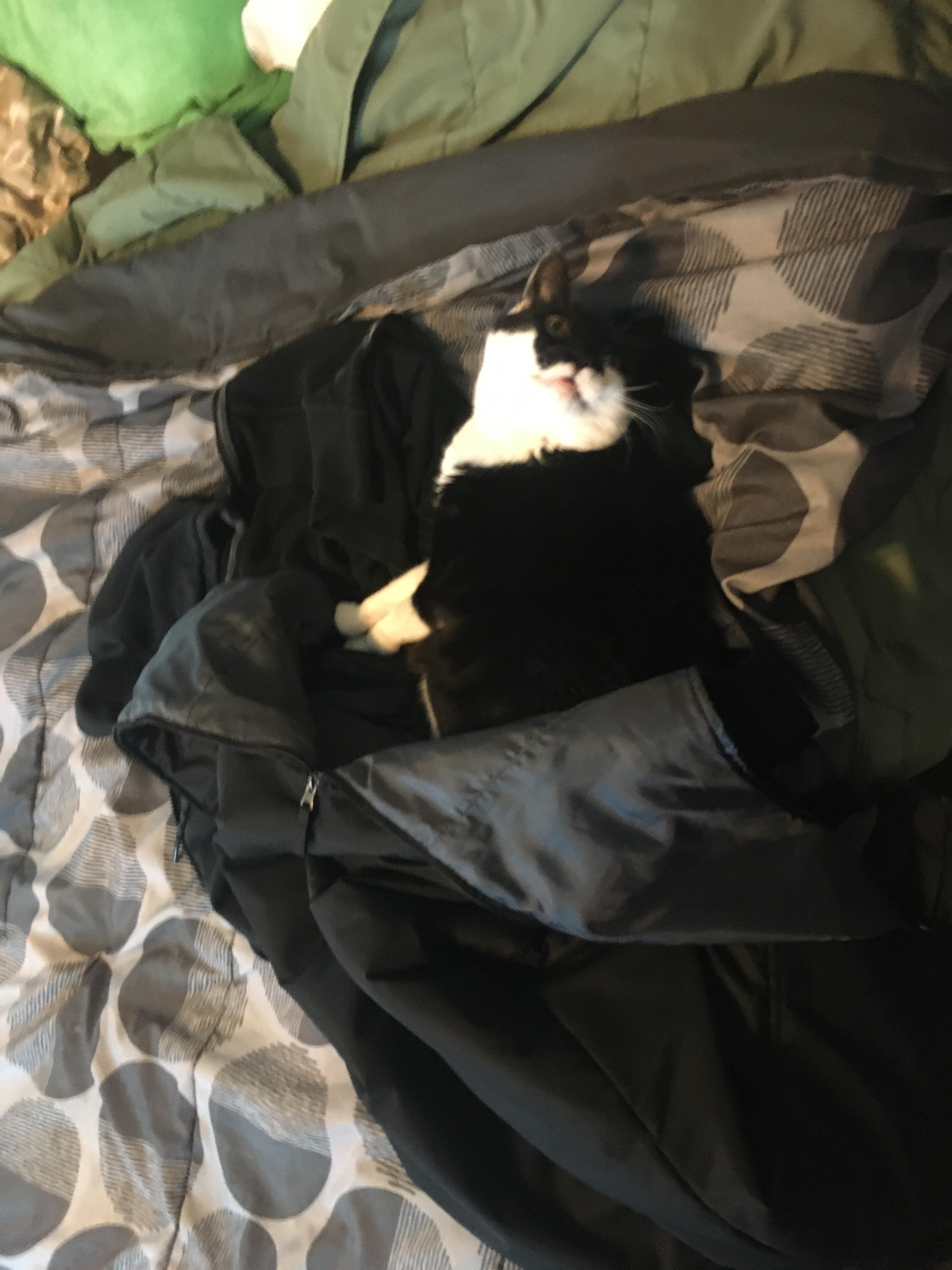 Snow pants cuddle time | Scrolller