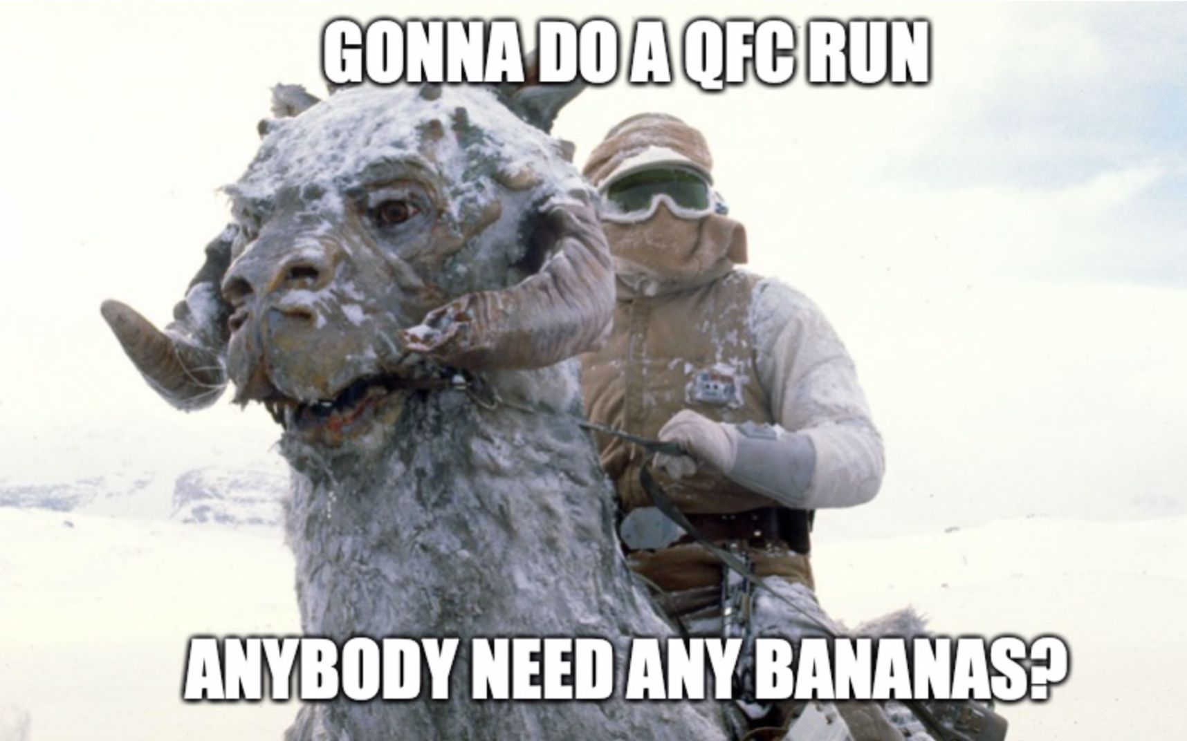 Snowmageddon 2019 | Scrolller