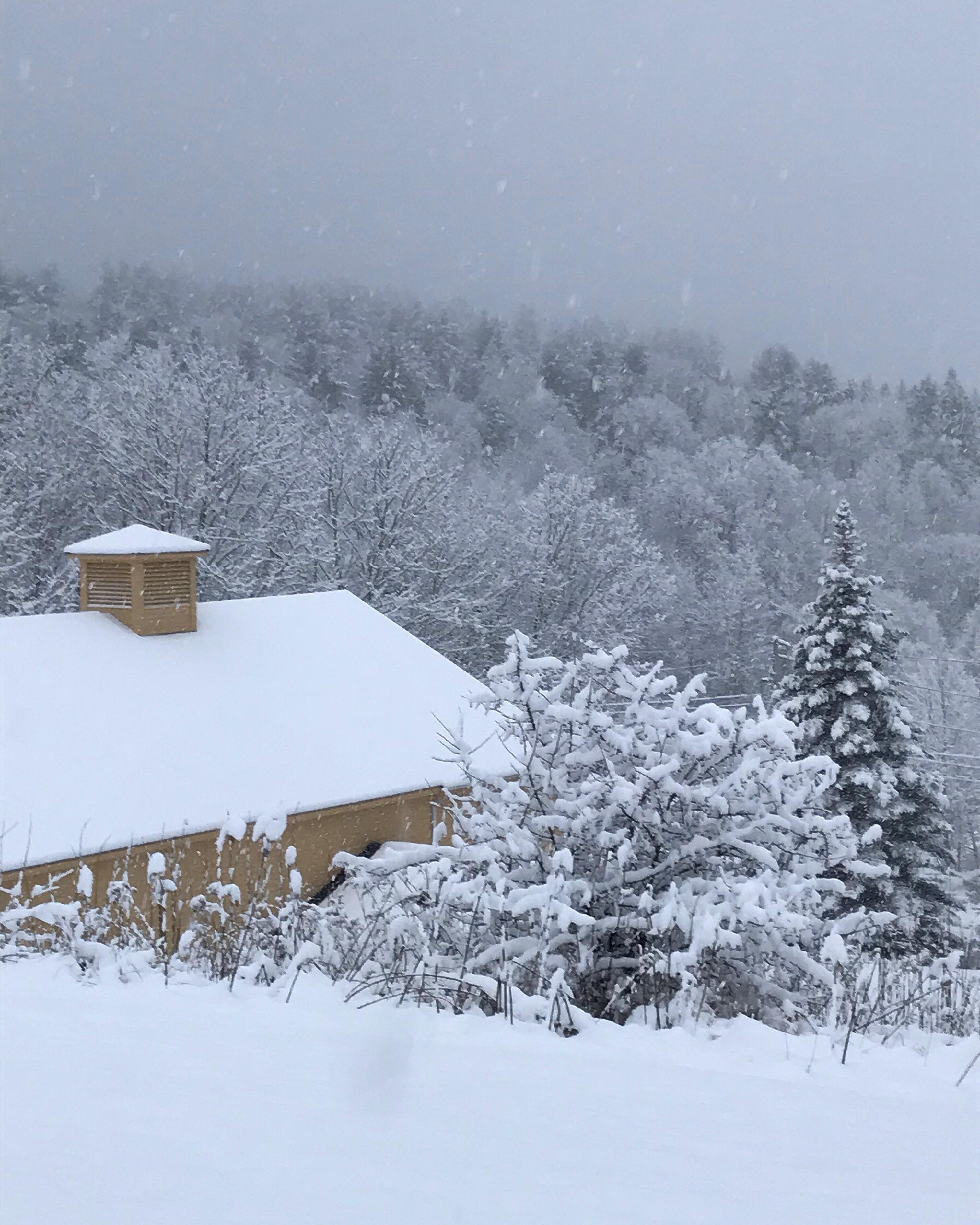 Snowstorm on the hillside | Scrolller