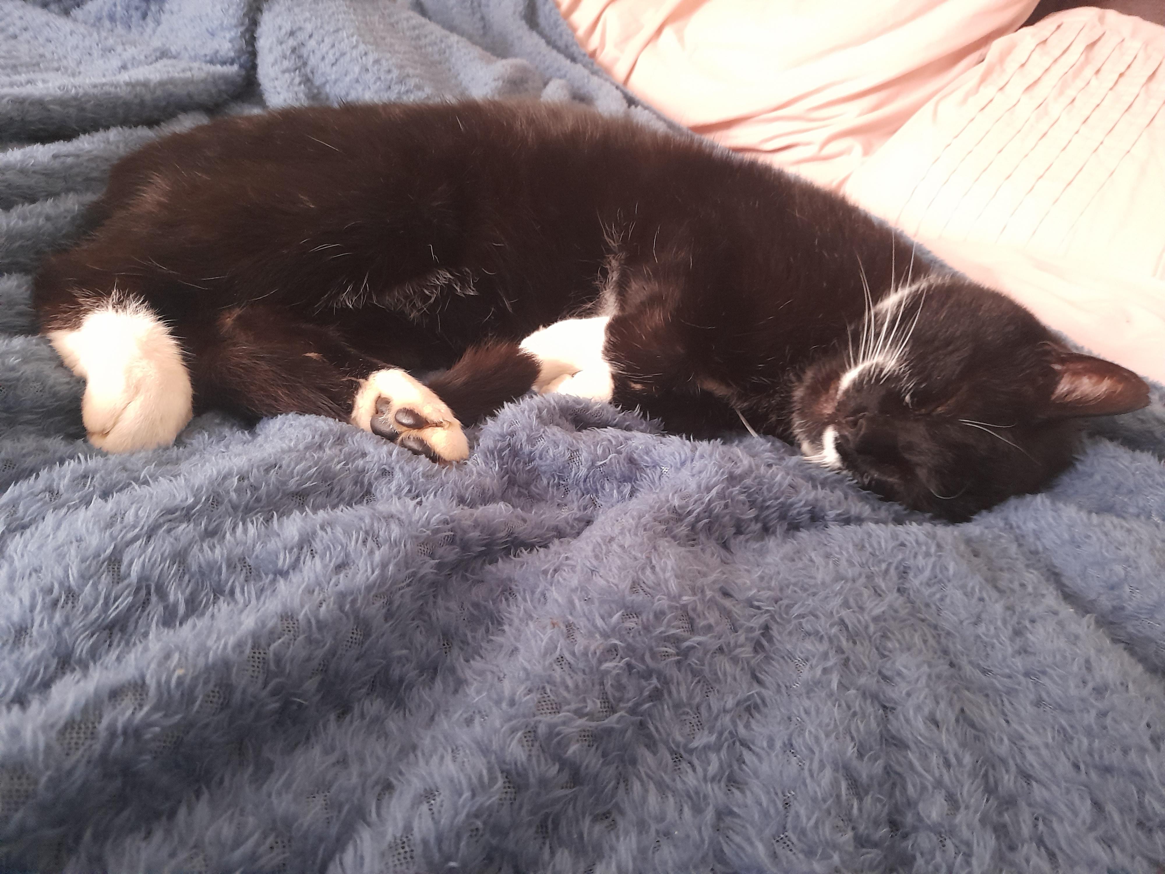 Snug as a bug | Scrolller