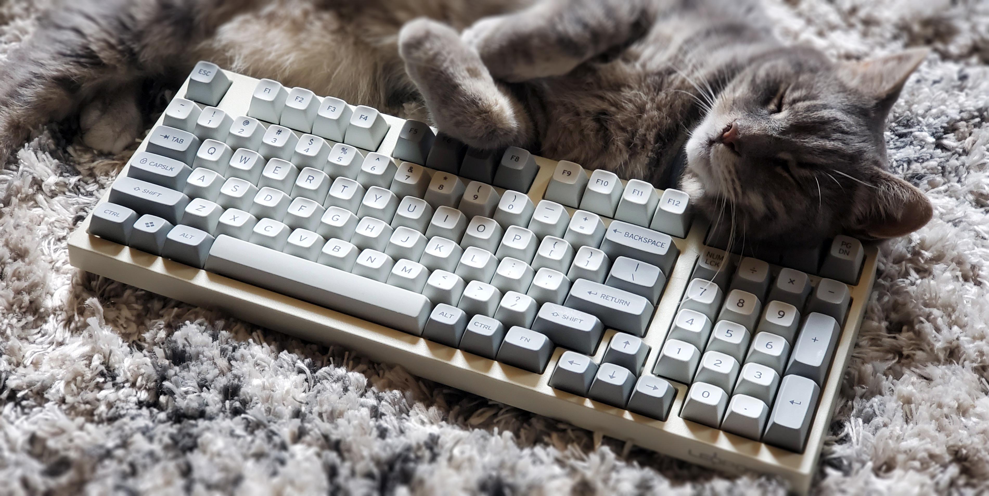 Snuggle time! | Scrolller