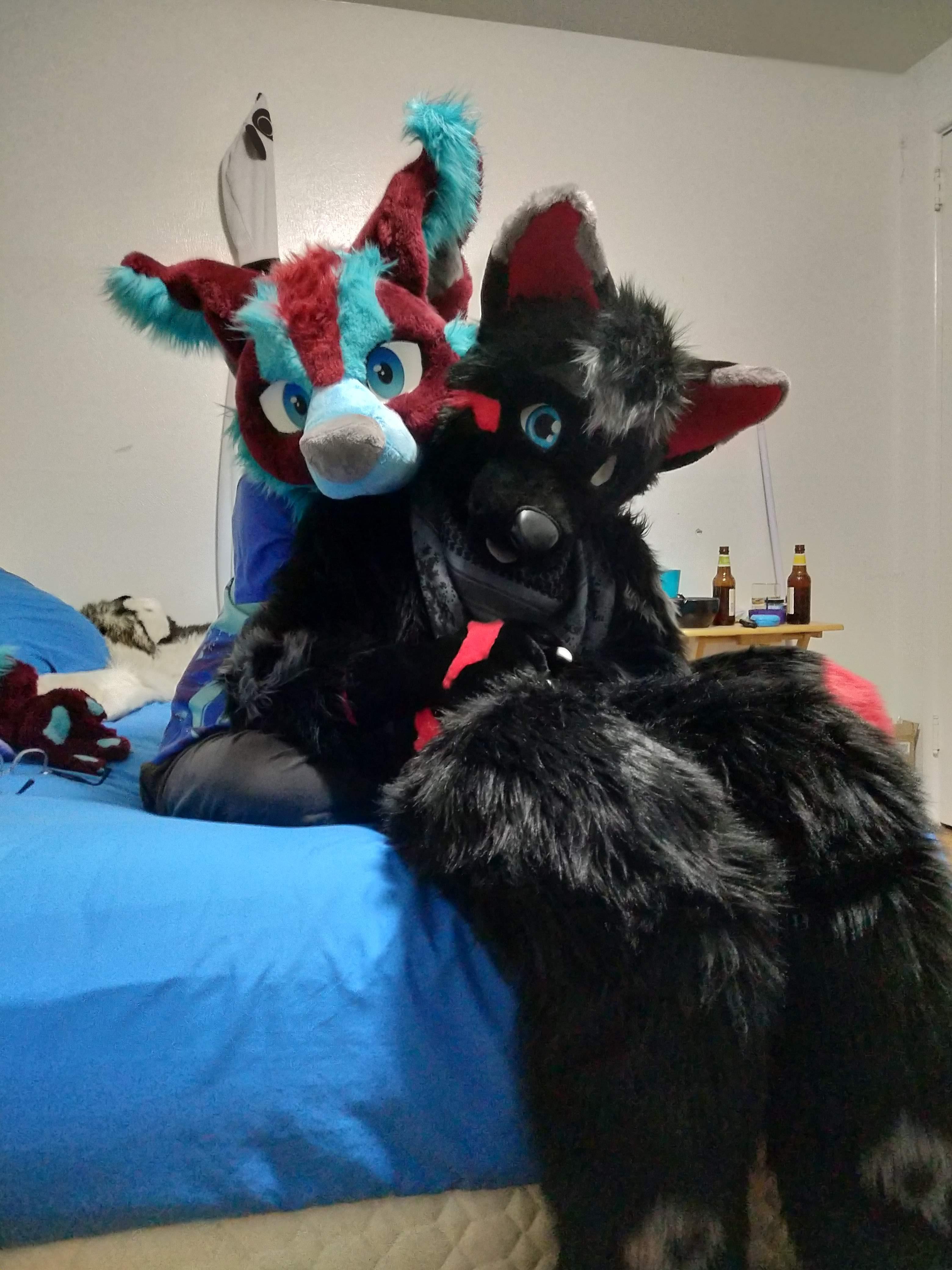 Snuggle time with my friend