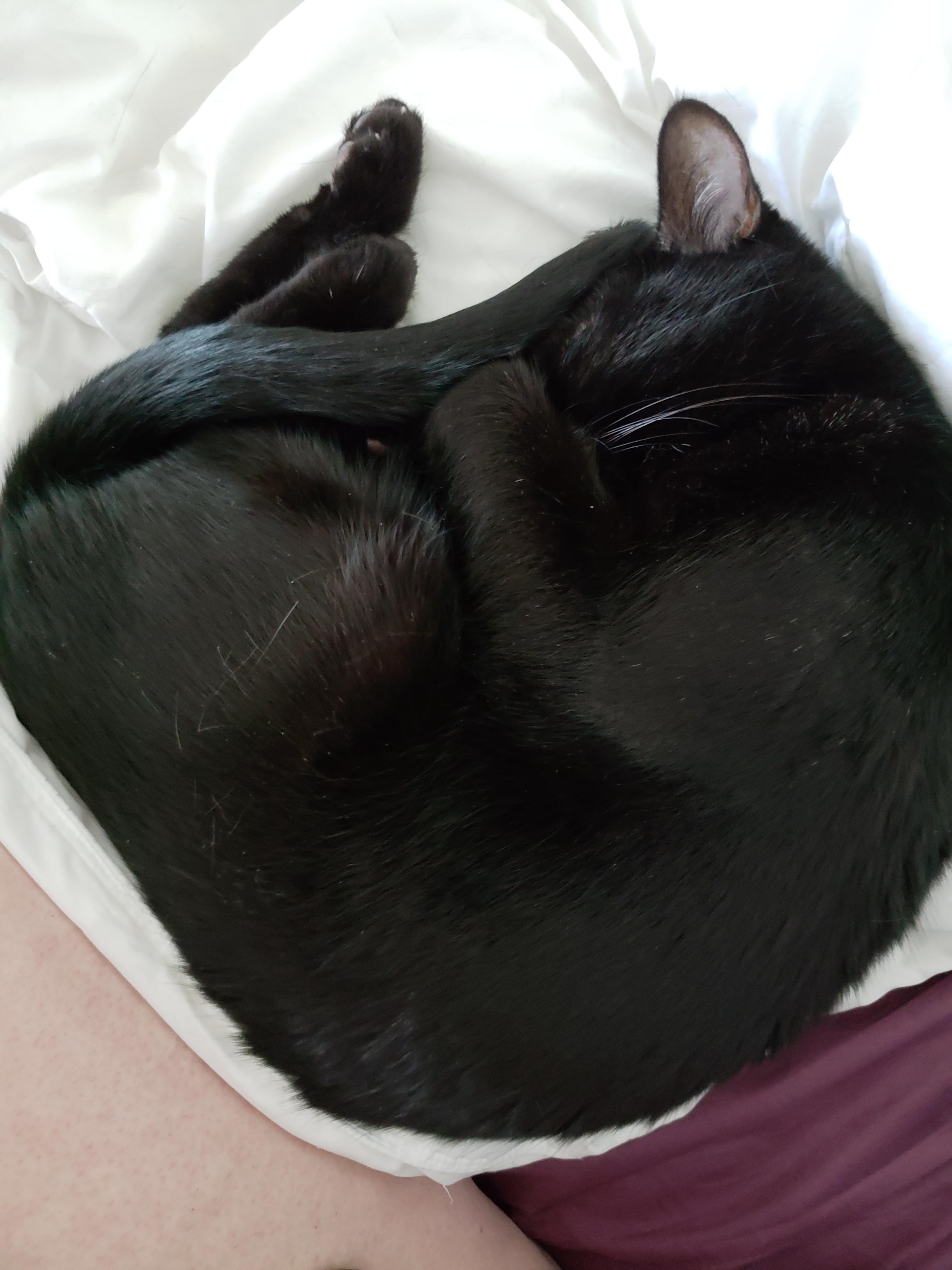 Snuggly circle | Scrolller