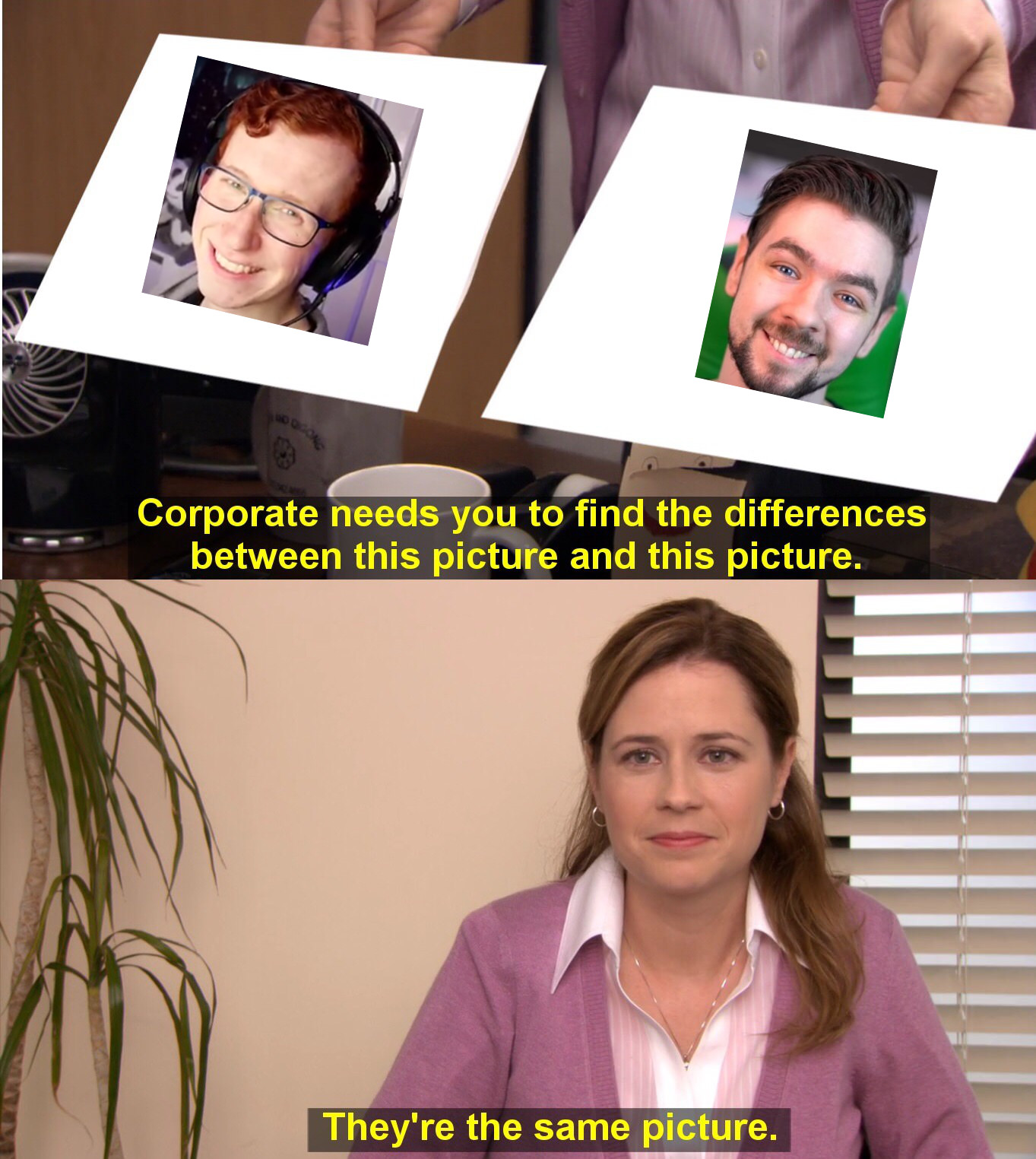 So alike, twitch chat can't tell the difference | Scrolller