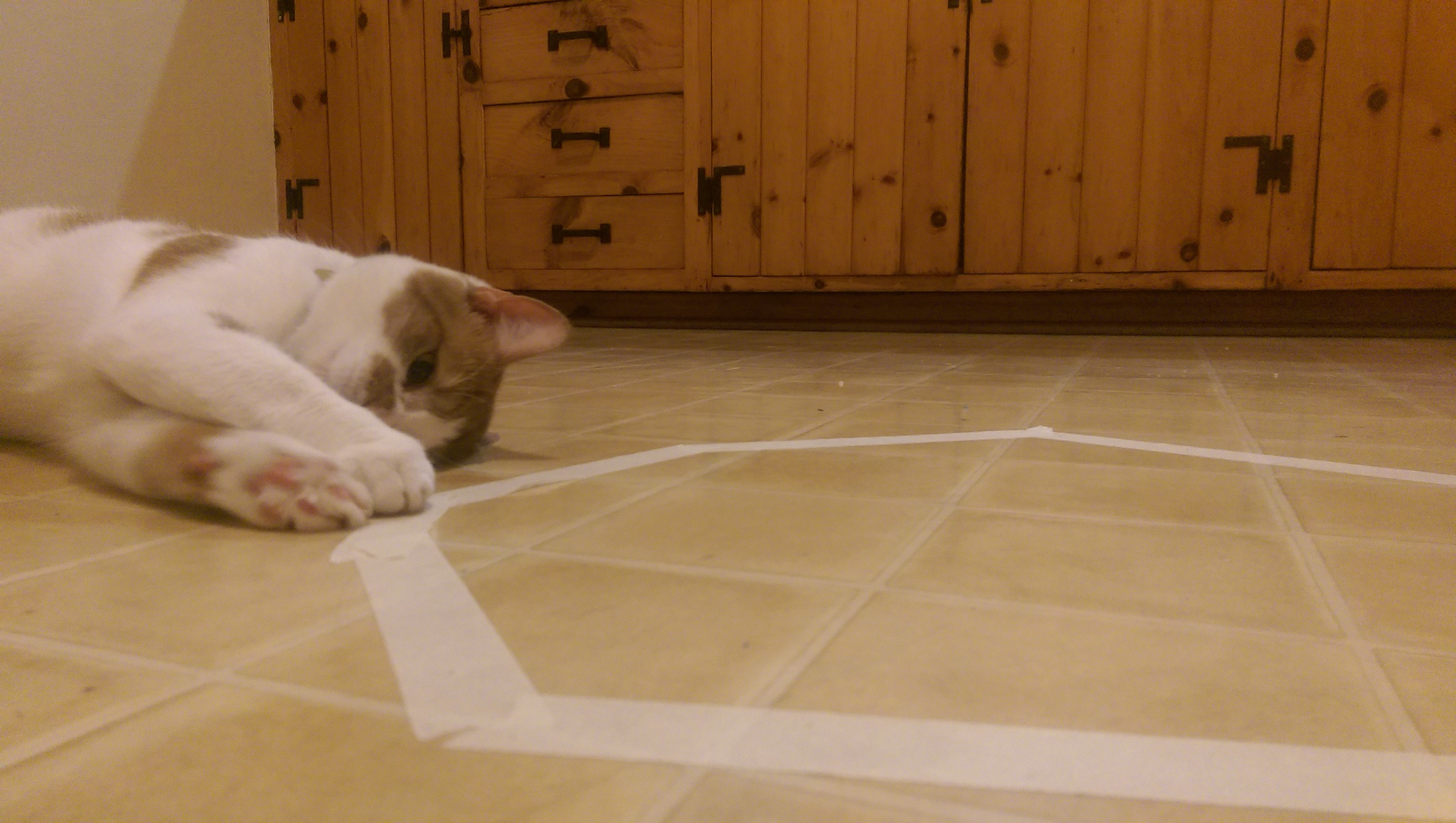 So close! | Scrolller