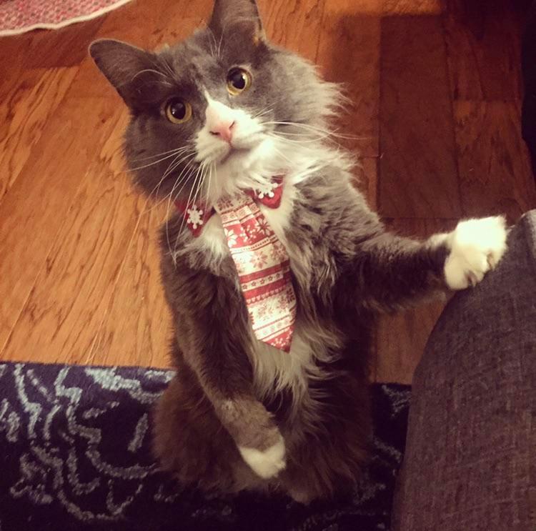 So dapper | Scrolller