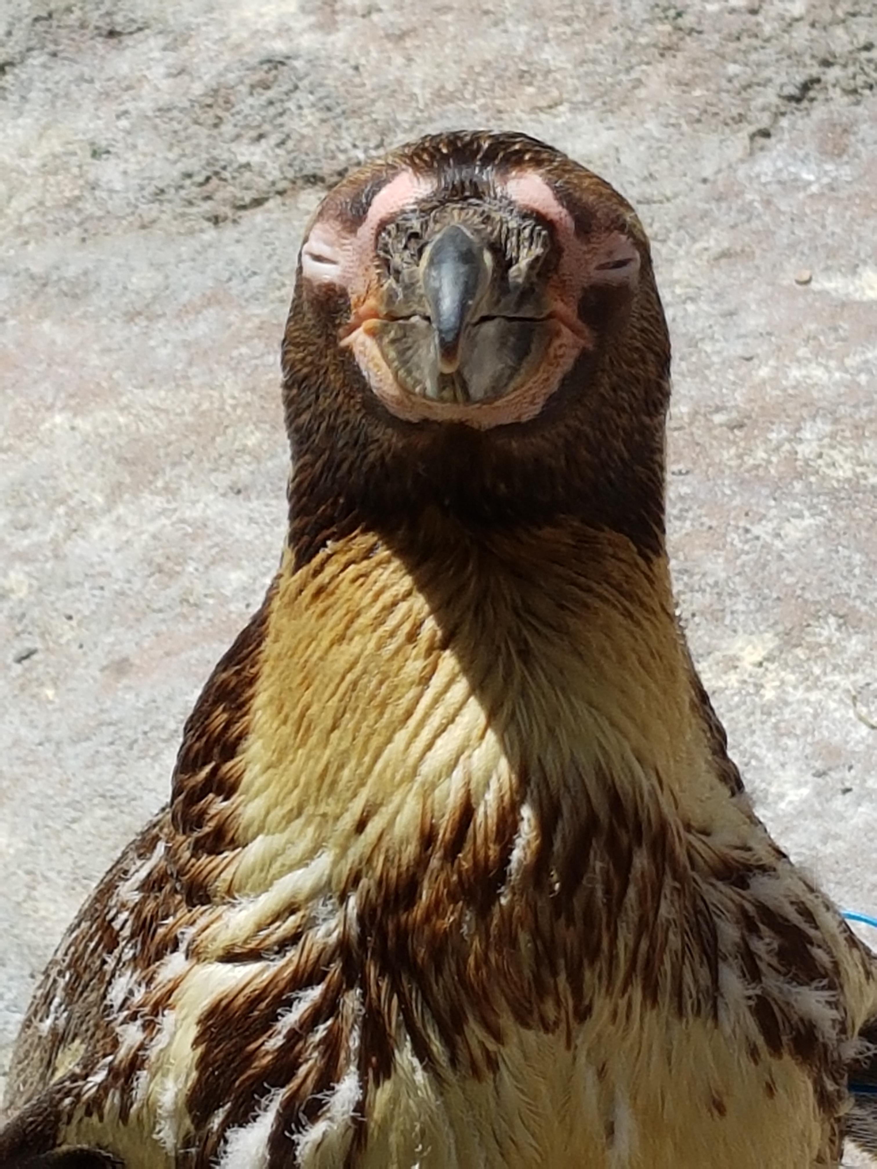 So handsome! | Scrolller