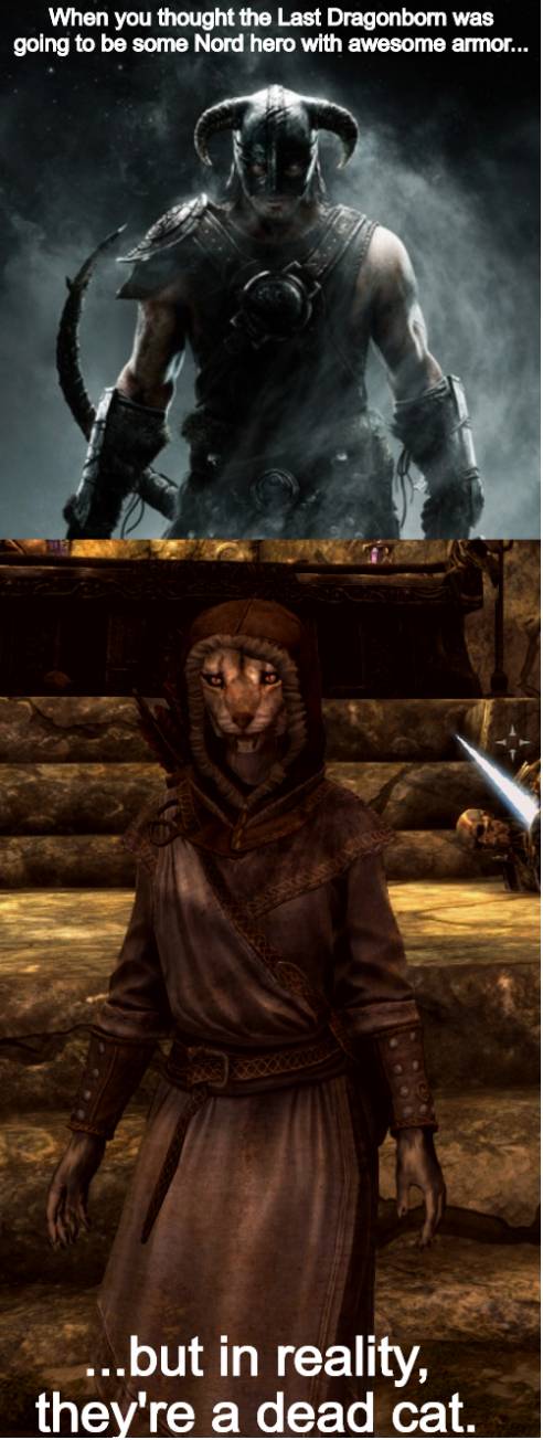 So I made a Khajiit character and I can't stop thinking about this. | Scrolller