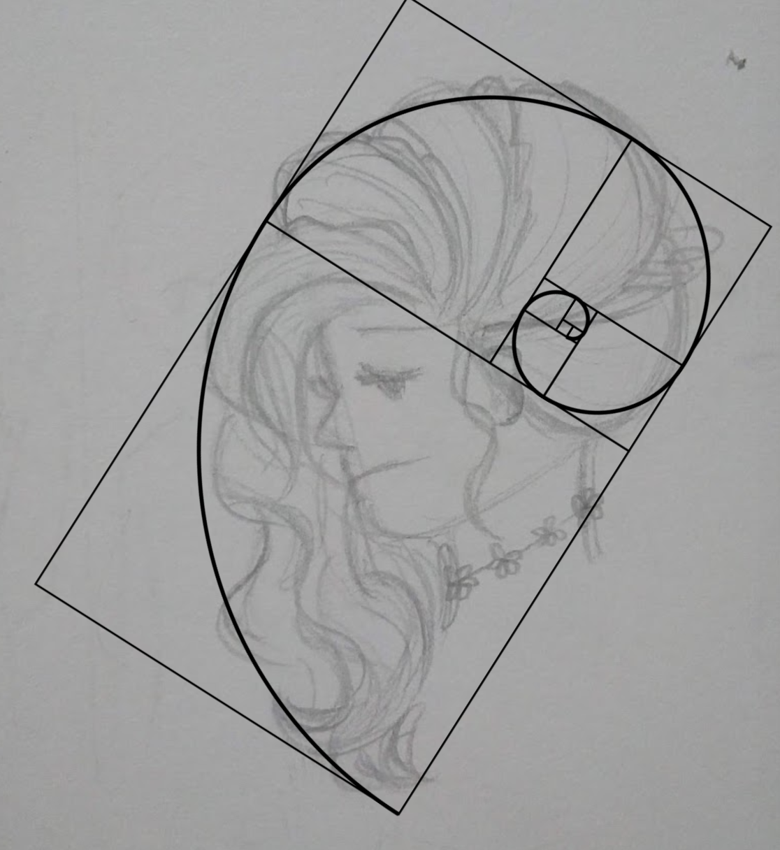 So I was just doodling and accidentally drew the golden ratio like what | Scrolller