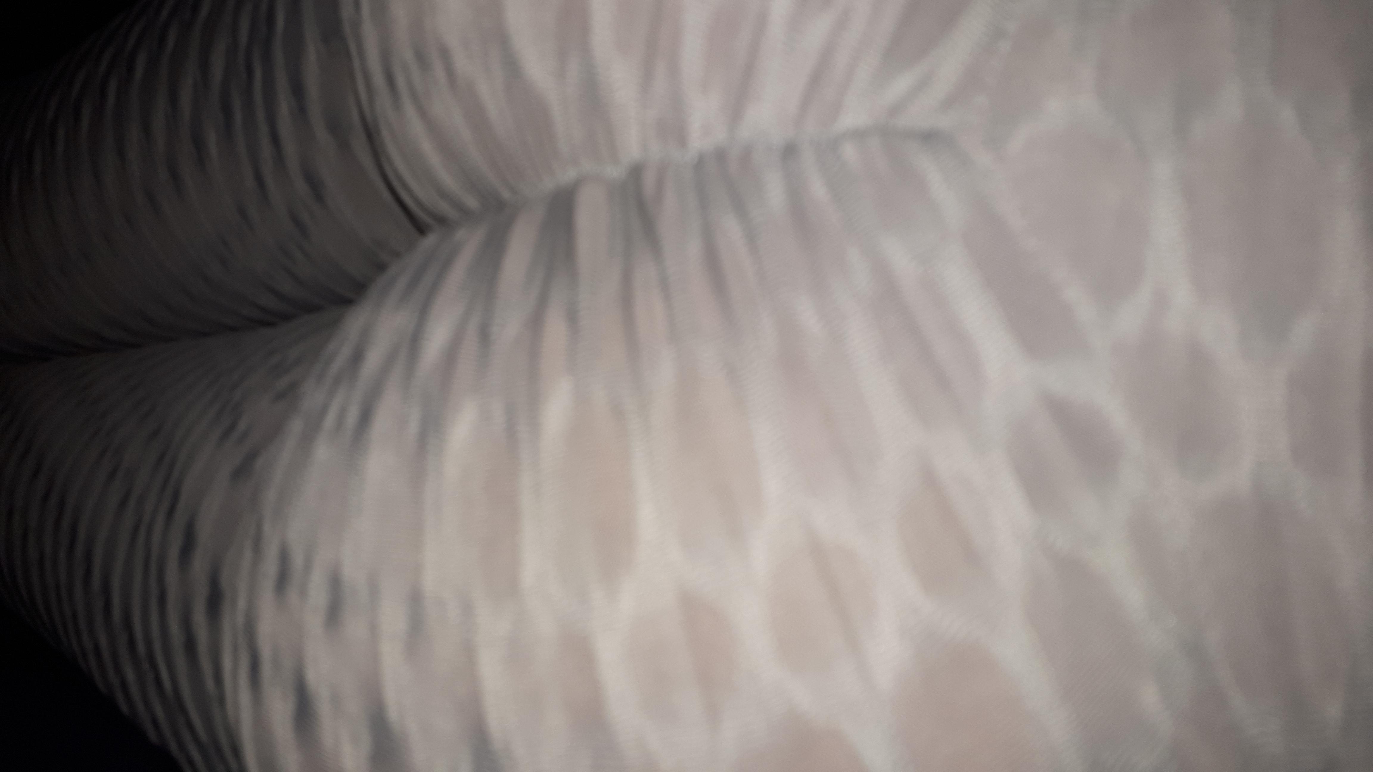 So much booty everything's out of focus! | Scrolller