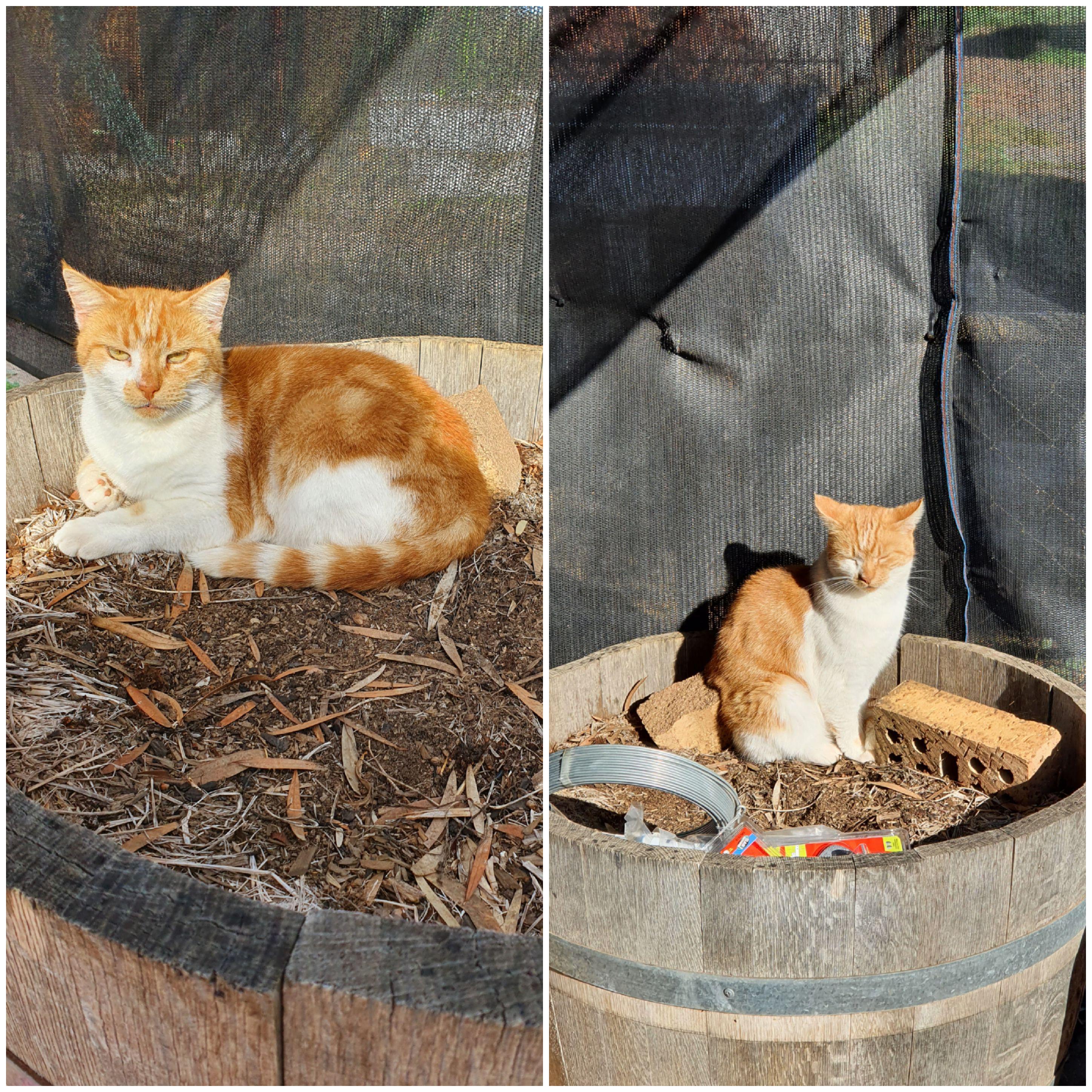 So much growth in only a few days | Scrolller