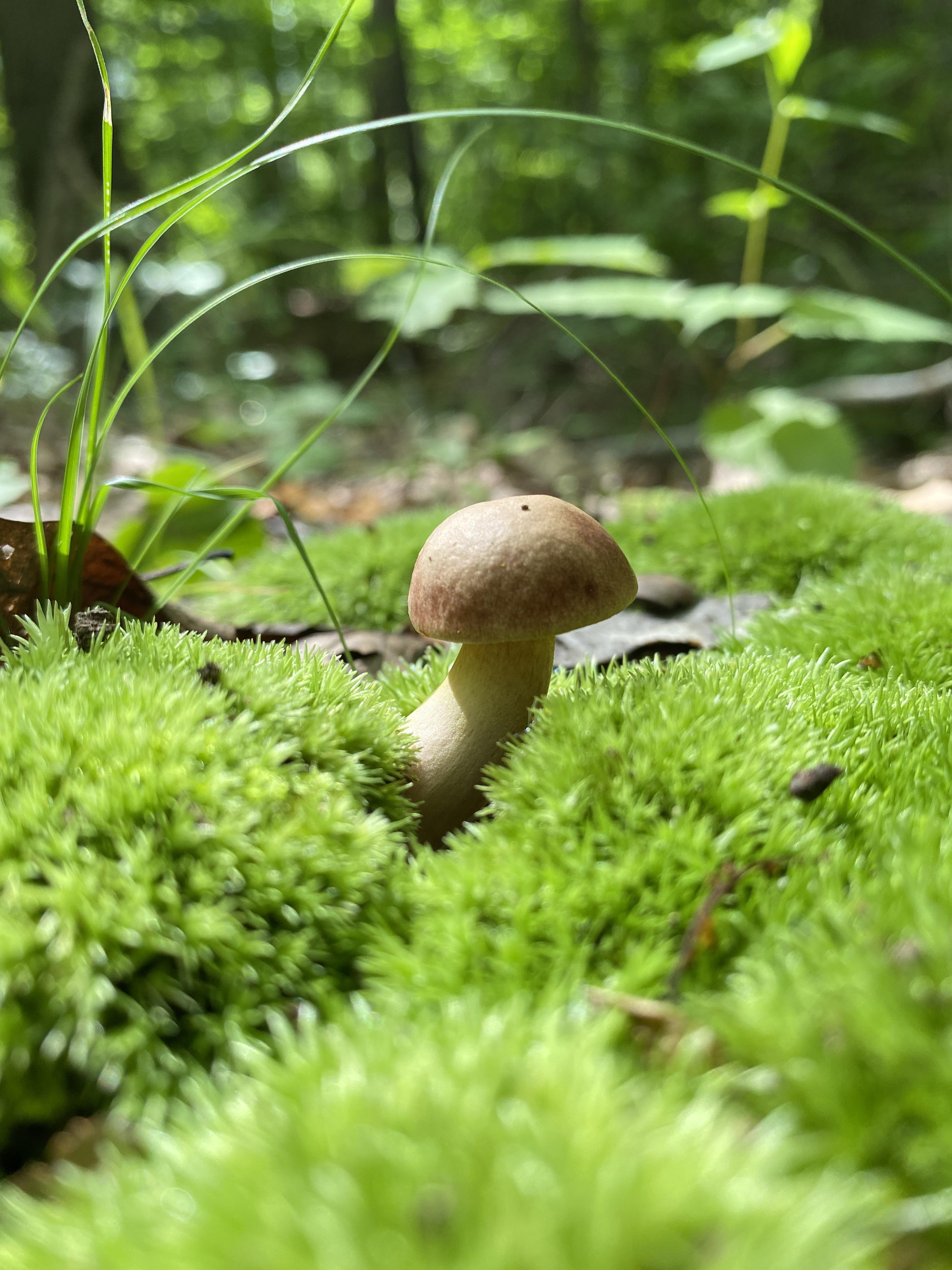 So proud of this pic | Scrolller