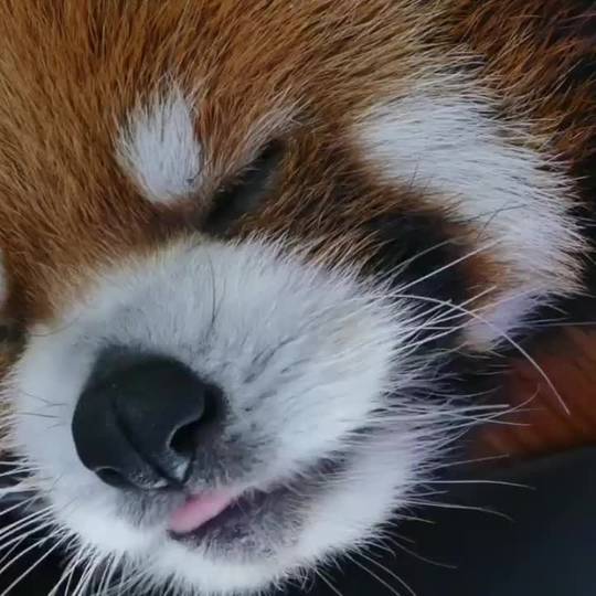 So tired. | Scrolller