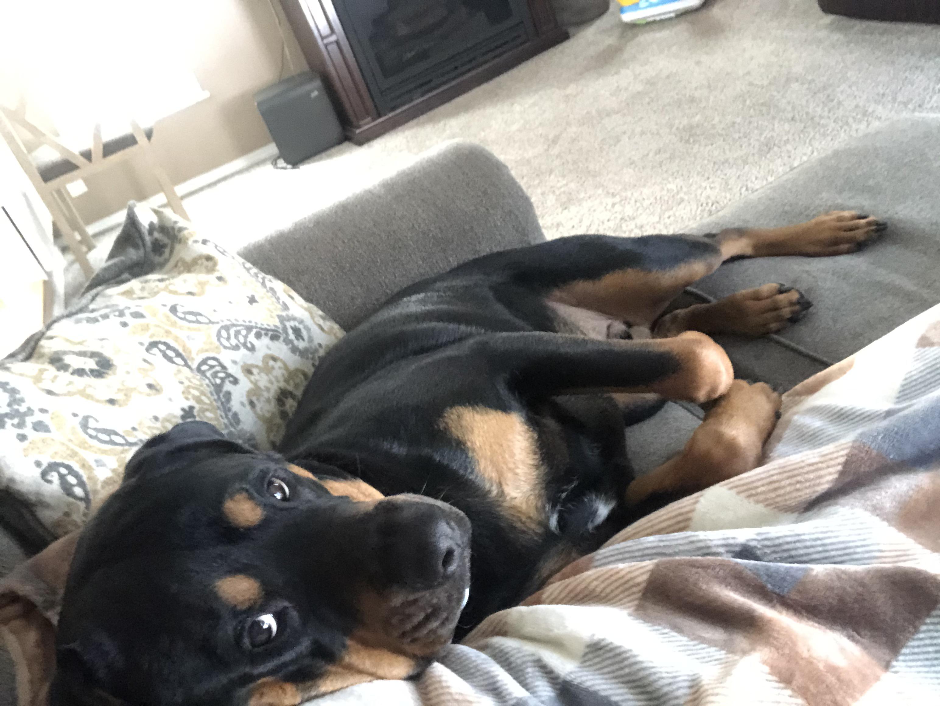 So vicious | Scrolller