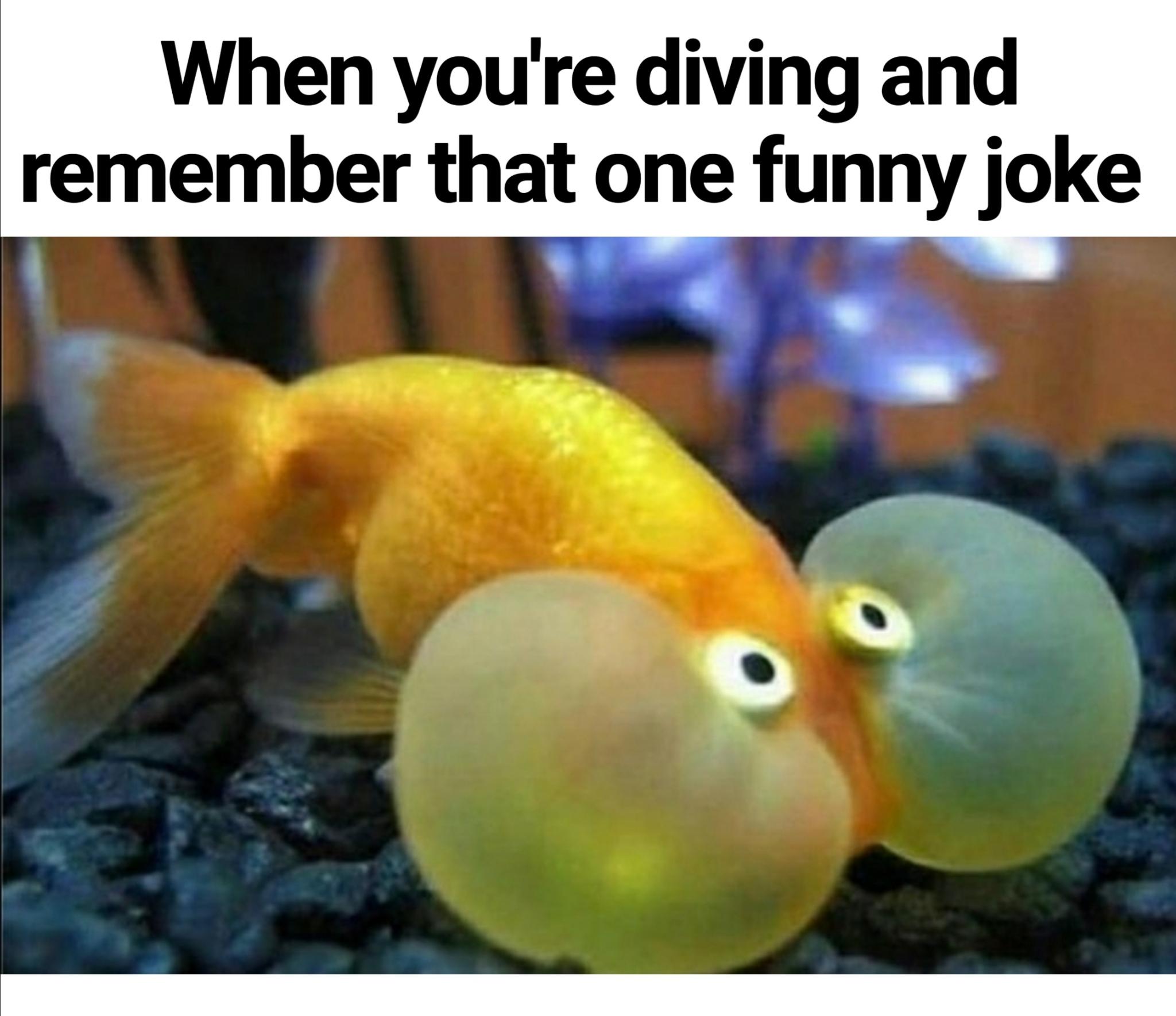 So you have chosen... Death | Scrolller