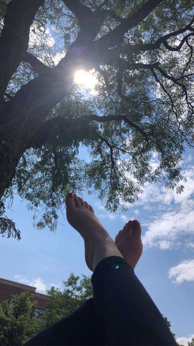 Soaking up the sun | Scrolller