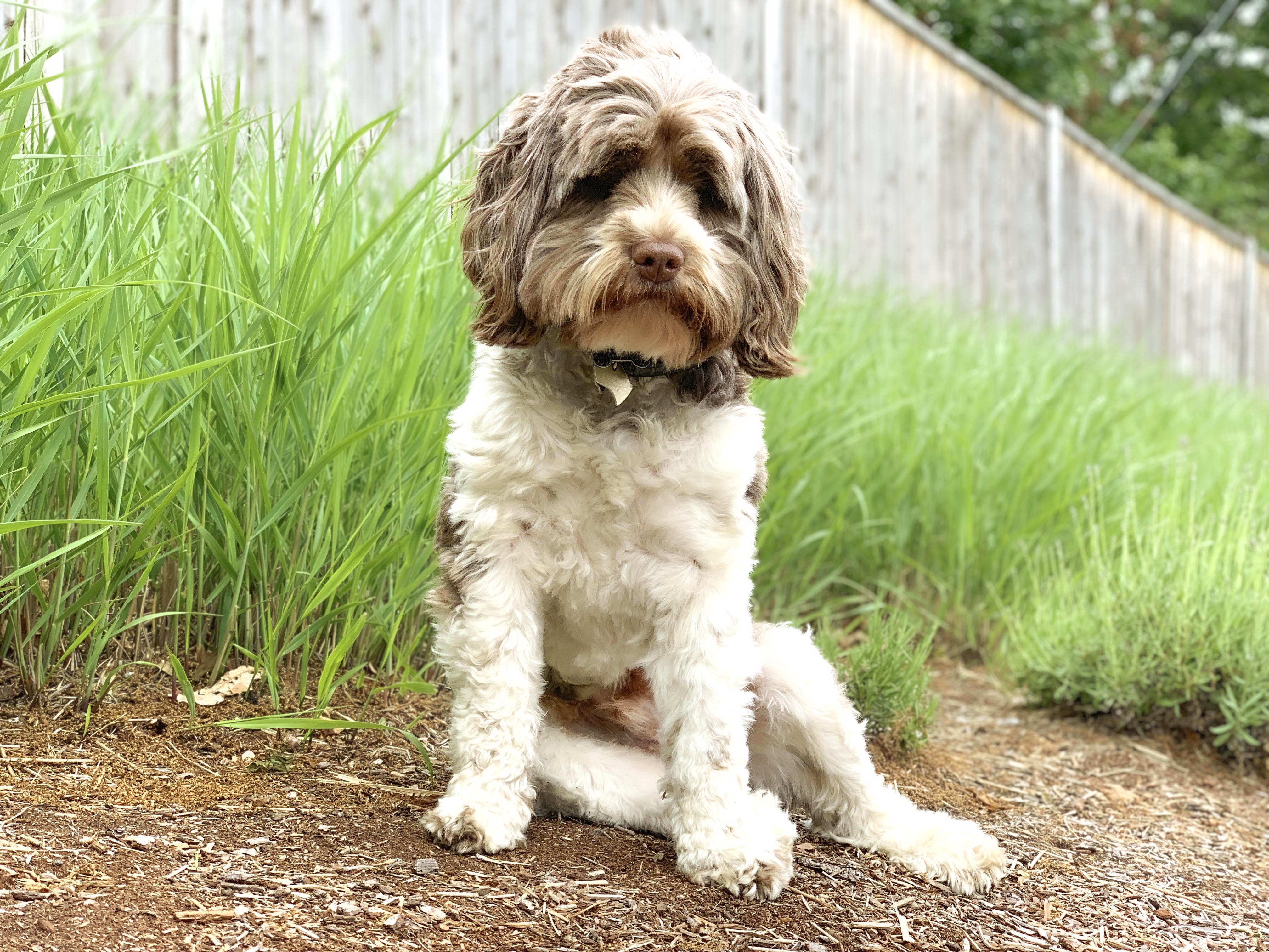 Soaking up the sun | Scrolller