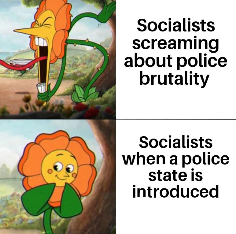 Socialism in 2020 | Scrolller